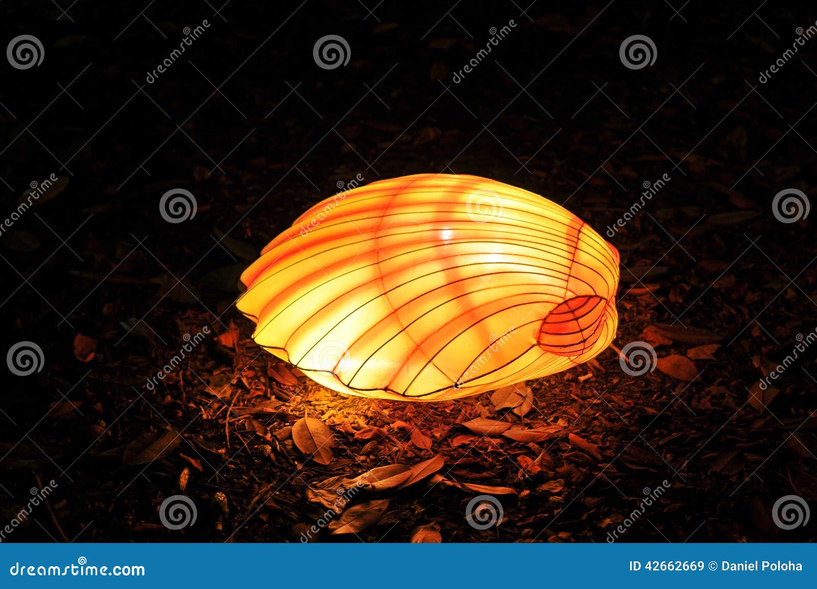 Chinese Lantern Festival Sea Shell Editorial Stock Image - Image of ...