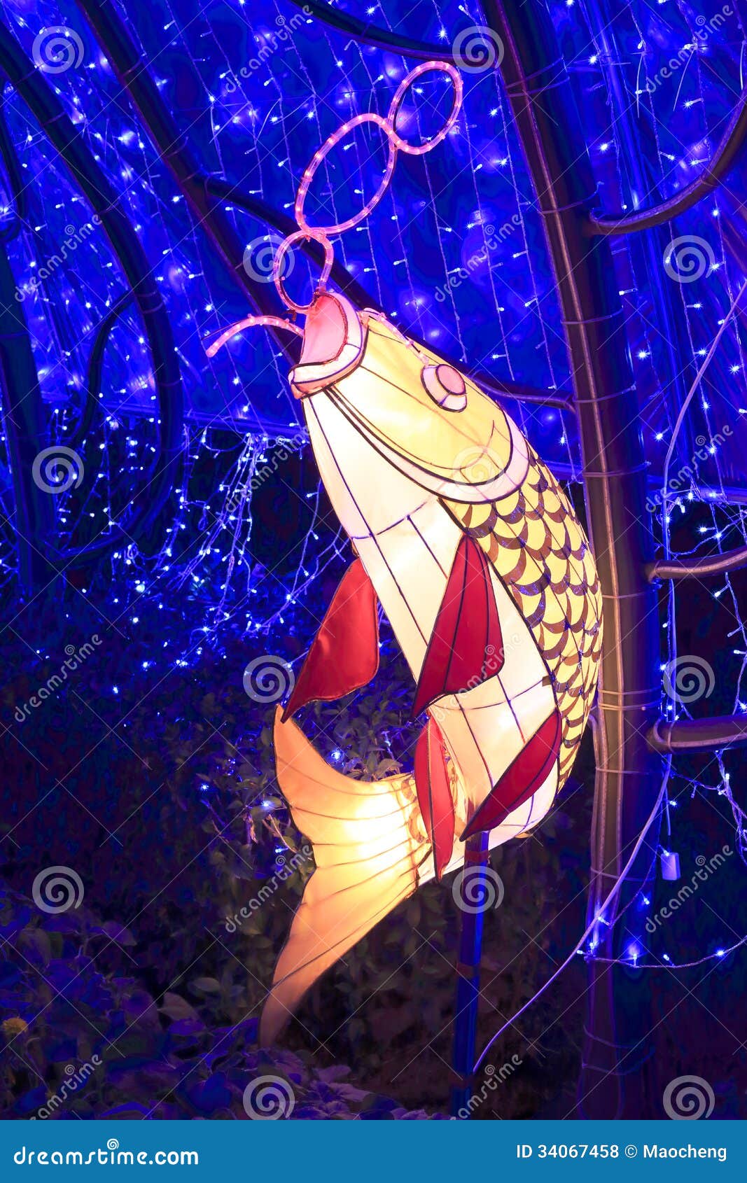 Lantern Fish Dragon Level 7