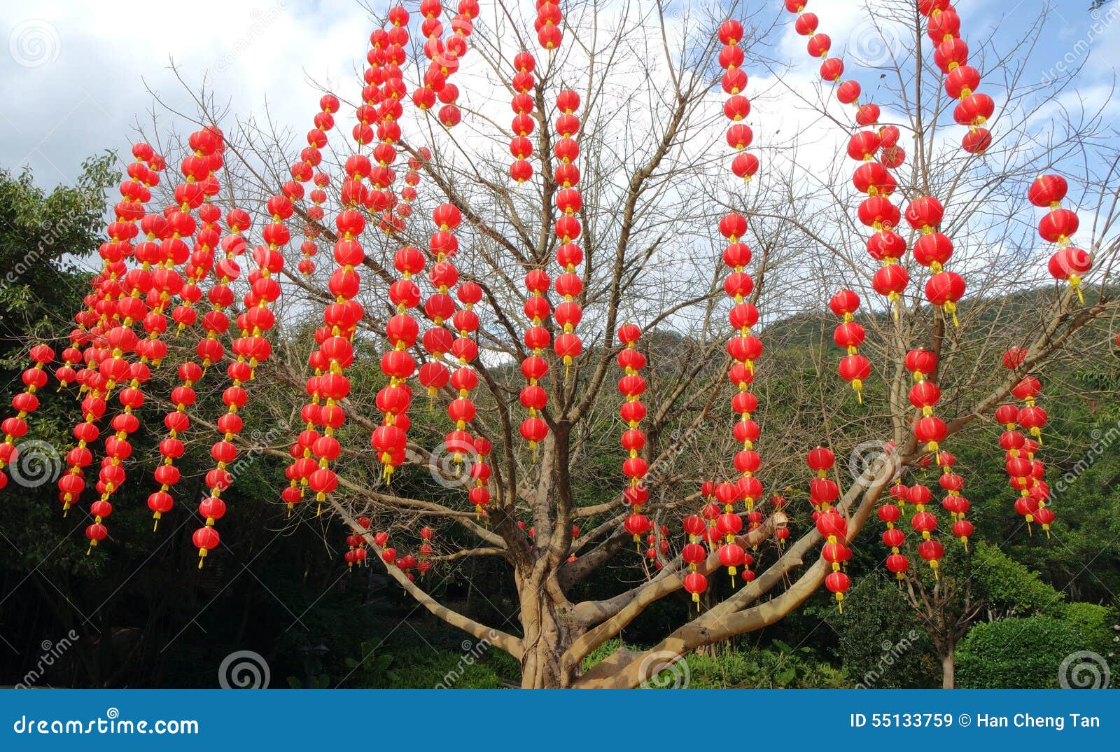 Chinese Lanterns stock image. Image of season, culture - 55133759