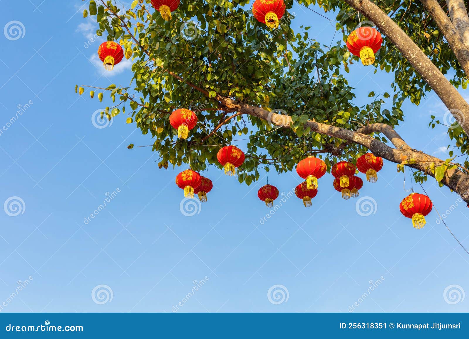 Chinese Lanterns Hung on a Tree and Copy Speac Against a Backdrop of ...