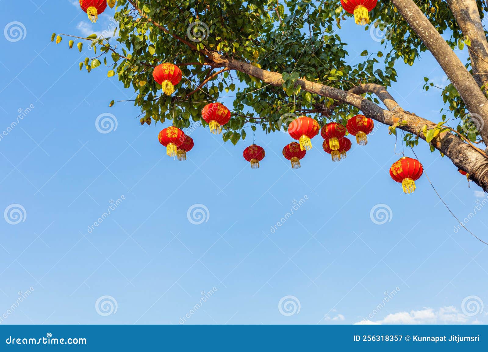 Chinese Lanterns Hung on a Tree and Copy Speac Against a Backdrop of ...