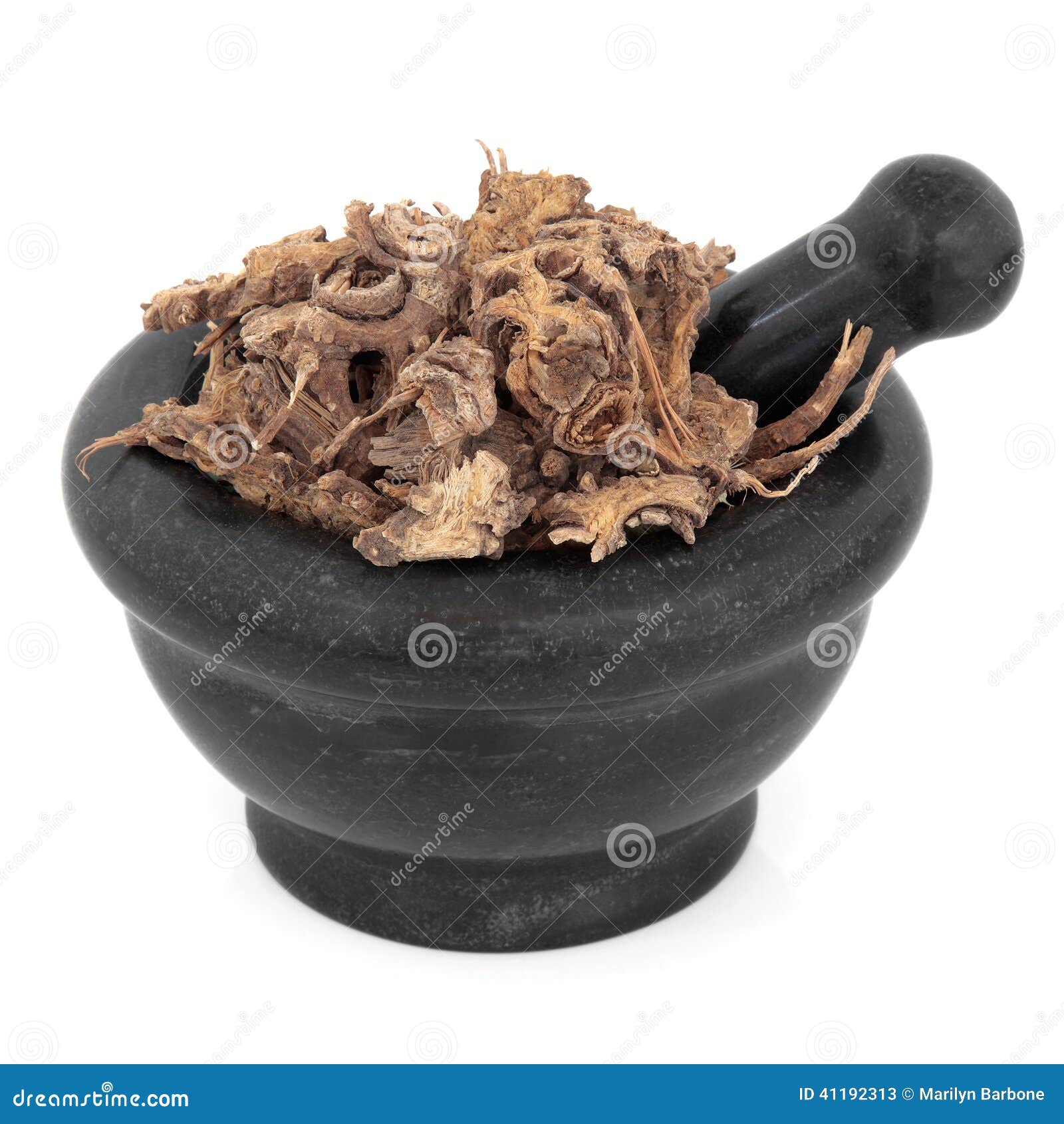 Chinese Lavaswortel stock afbeelding. Image of chinees - 41192313