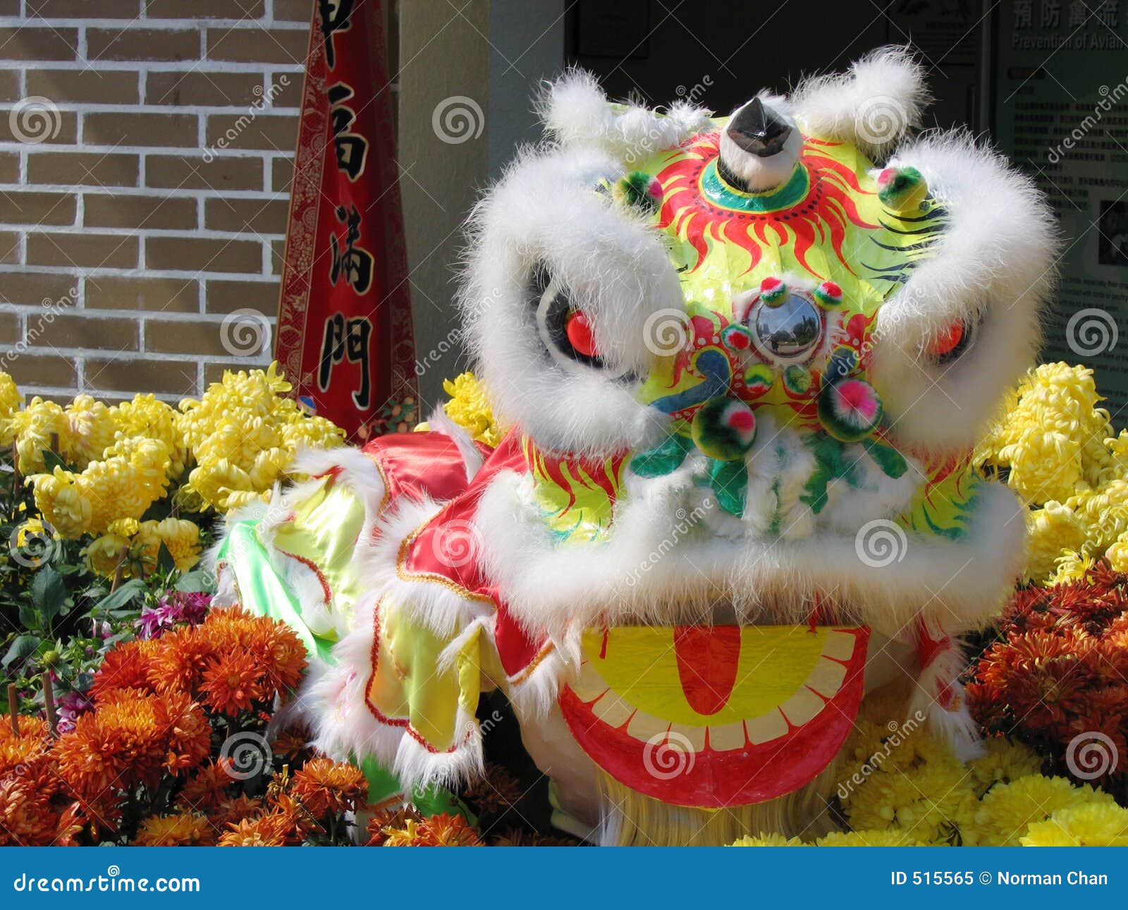 Chinese lion stock image. Image of celebration, performing - 515565