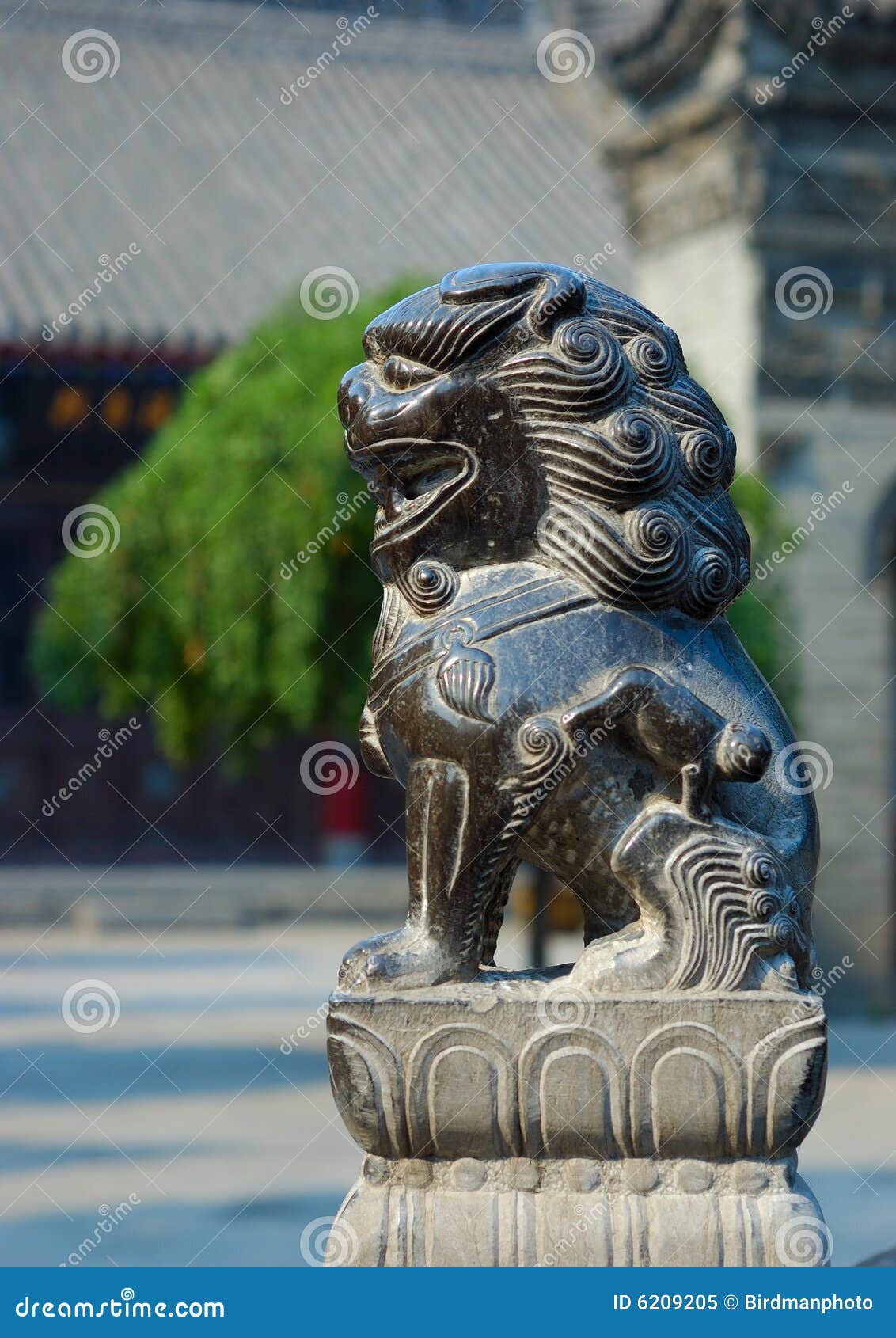 A chinese lion stock image. Image of stone, china, temples - 6209205