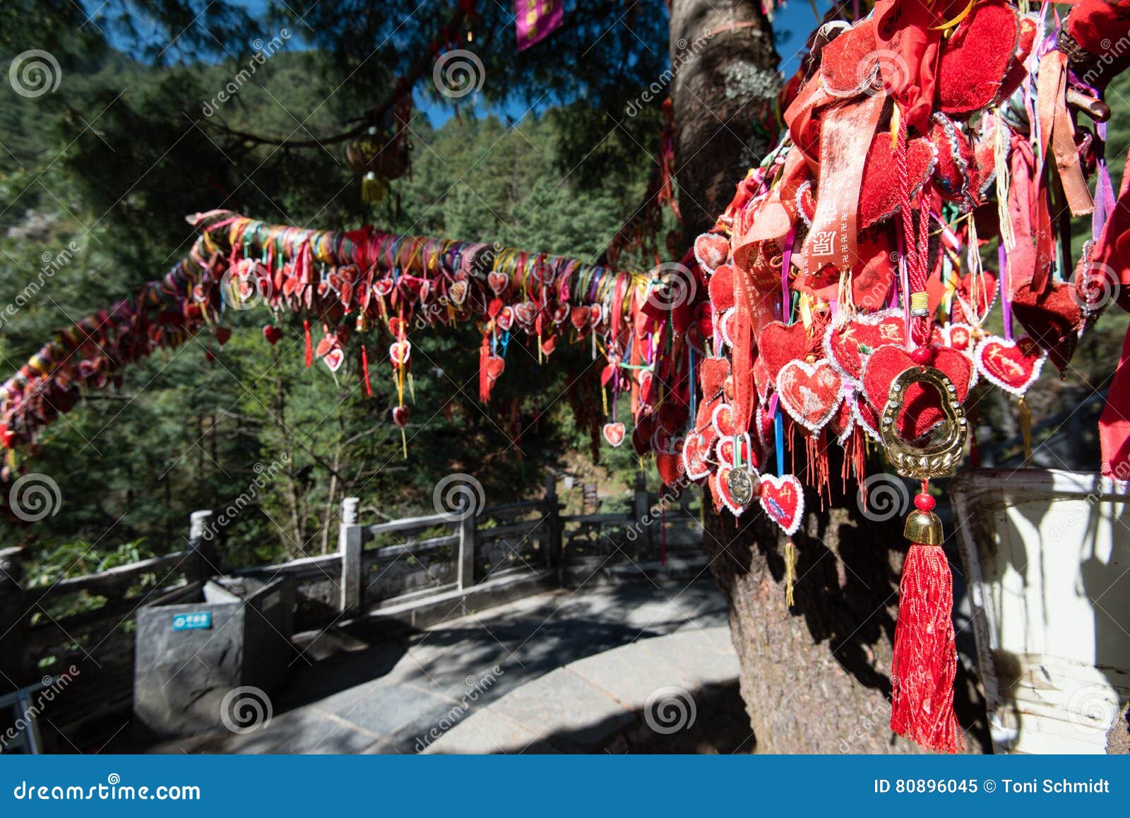 Chinese Lucky Charms Hanging on a Tree Stock Image - Image of money ...