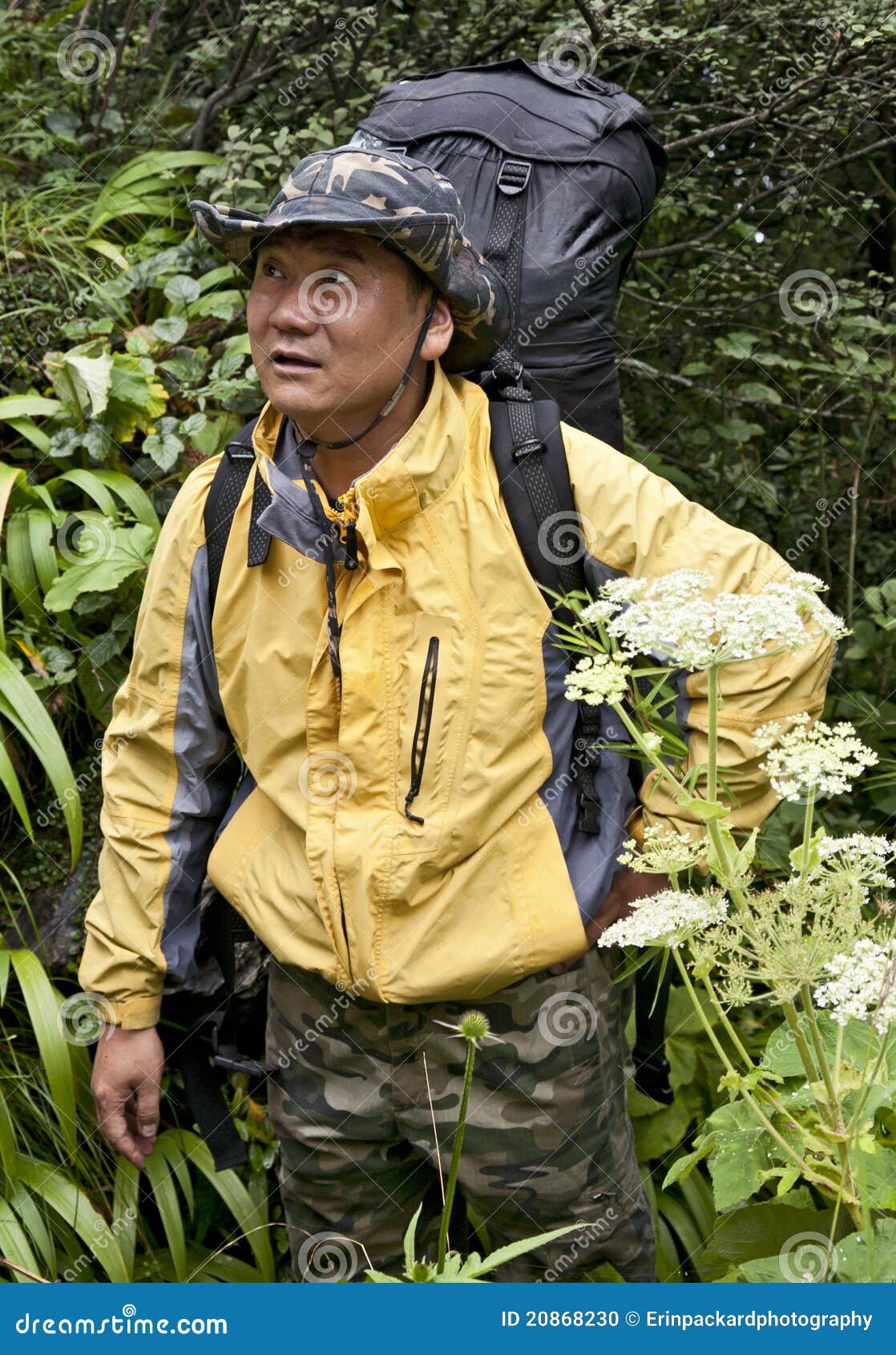 Chinese Man Backpacking through Jungle Stock Photo - Image of looking ...