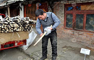 Chinese Man Cutting Sugar Cane Editorial Image - Image of shaft, outer ...