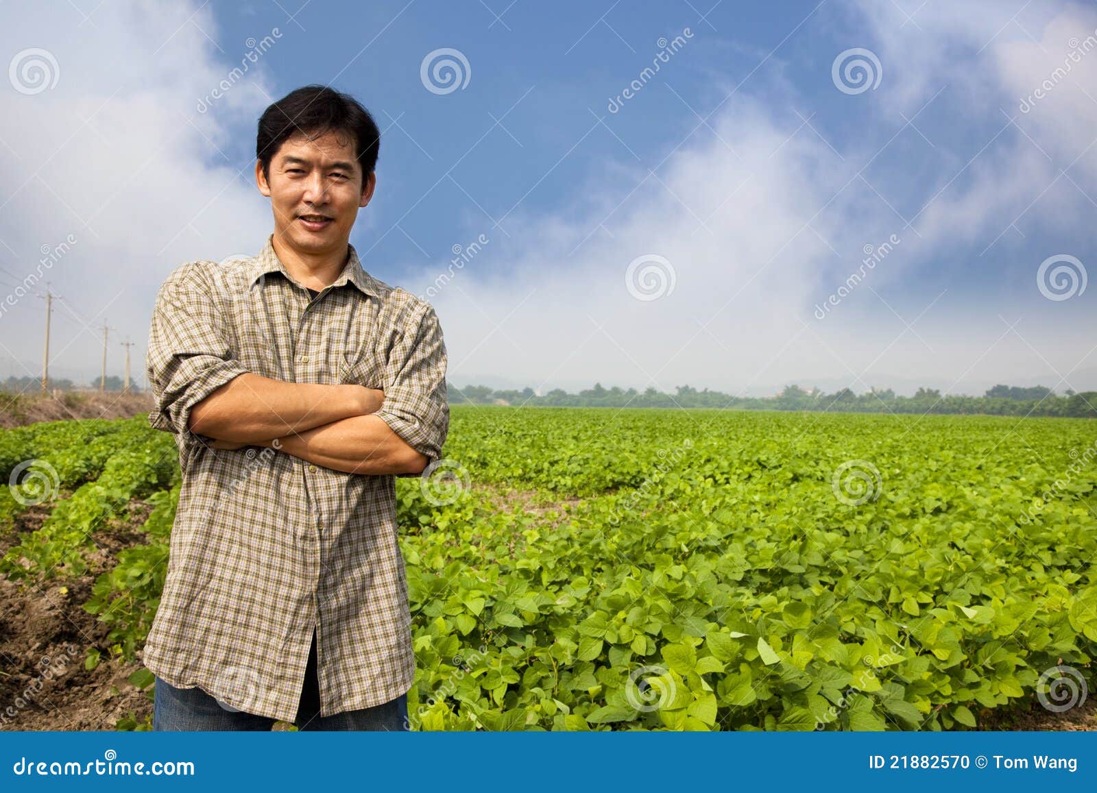 Chinese middle aged farmer stock photo. Image of agriculture - 21882570