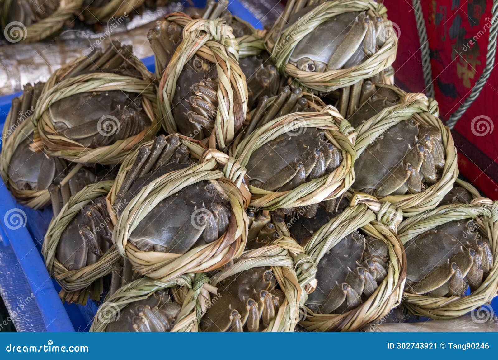 Chinese Mitten Crab, Also Known As the Hairy Crab Stock Image - Image ...