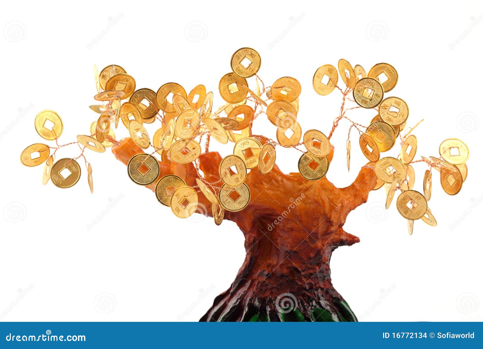 Chinese Money Tree stock photo. Image of china, stem - 16772134