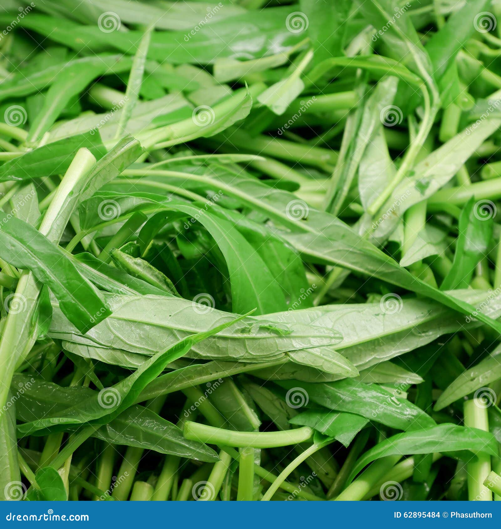 Chinese Morning Glory Vegetable Stock Photo - Image of healthy, fresh ...