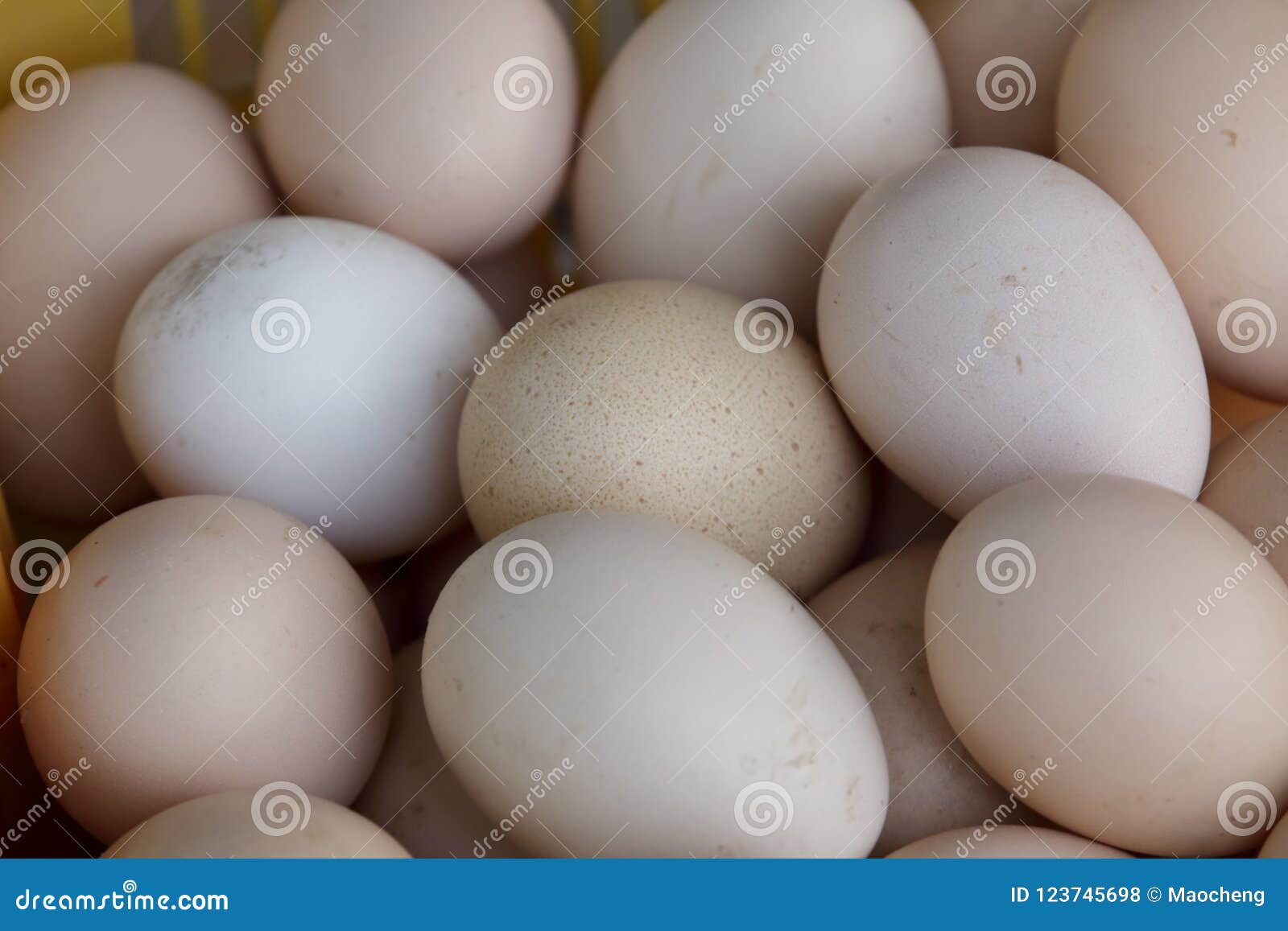 Chinese Native Egg, Adobe Rgb Stock Photo - Image of duck, eggshell ...
