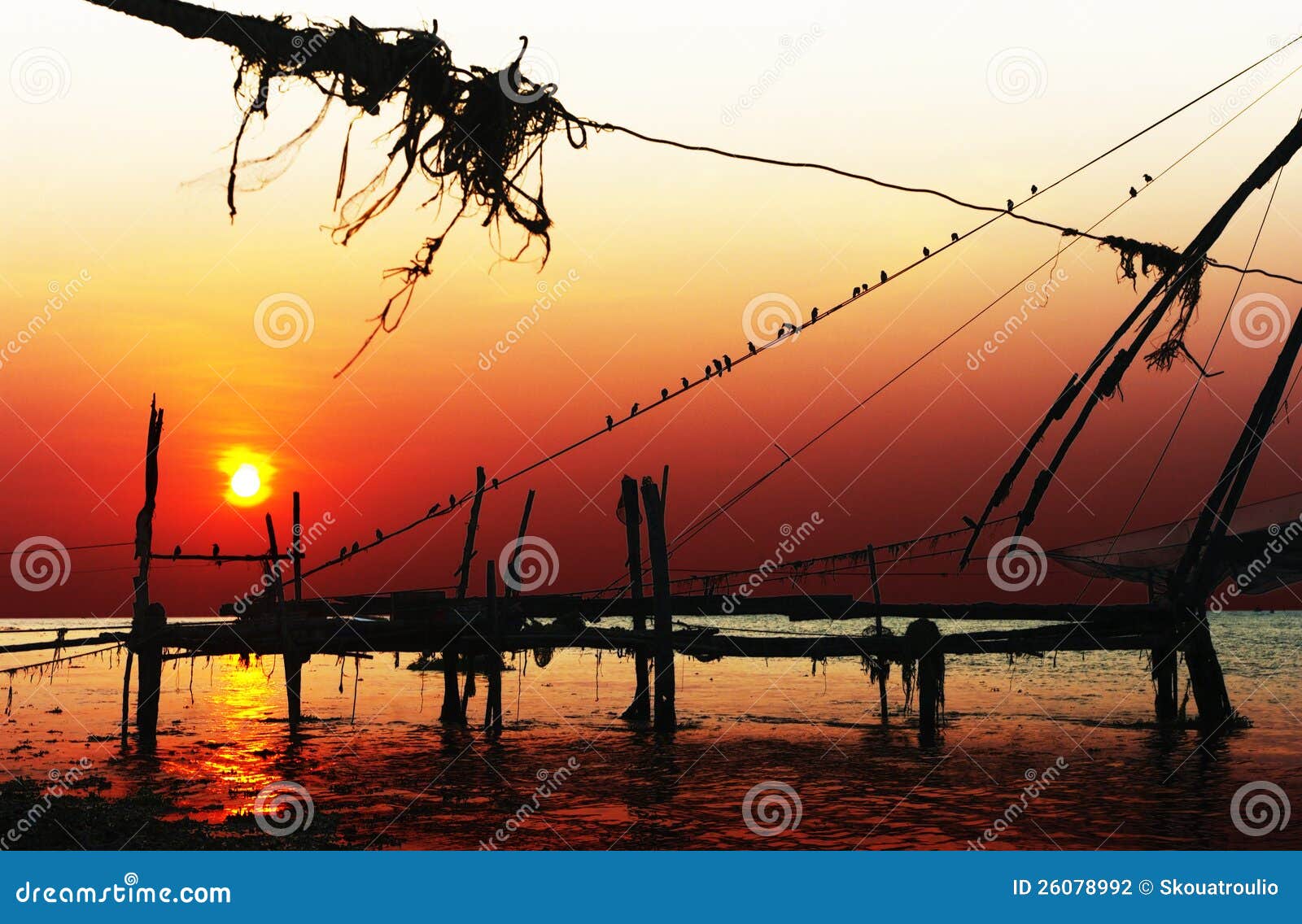 Chinese nets at sunset stock photo. Image of kerala, fort - 26078992