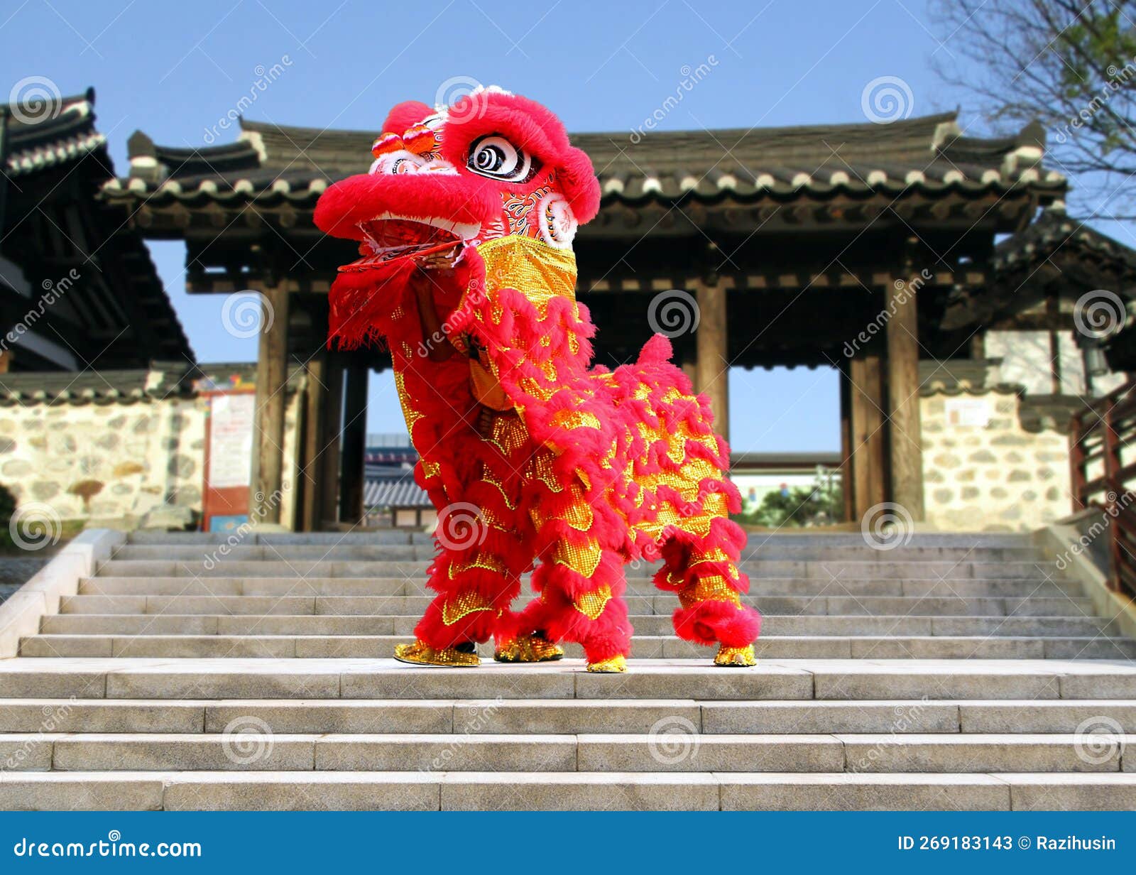 Chinese New Year Lion Dance Celebration Stock Image - Image of asian ...