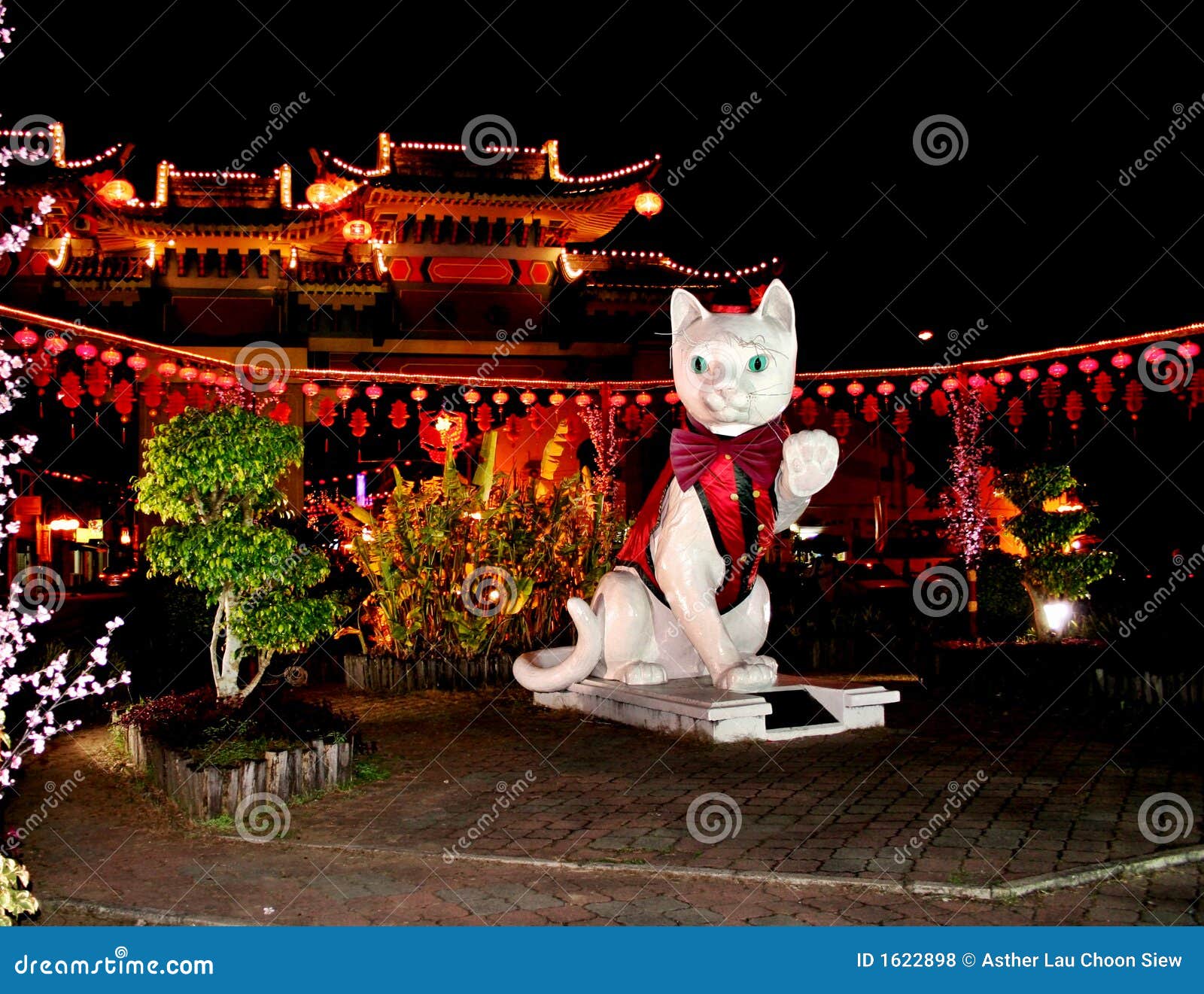 Chinese New Year Night Scene Stock Photo - Image of dark, chinese: 1622898