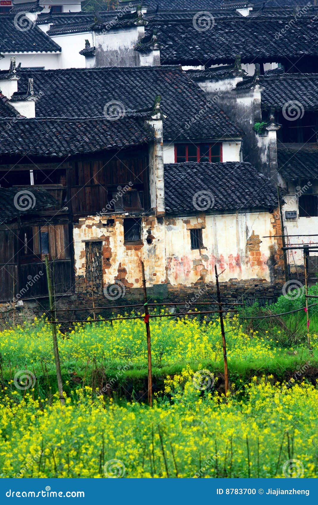 Chinese old building stock photo. Image of green, season - 8783700