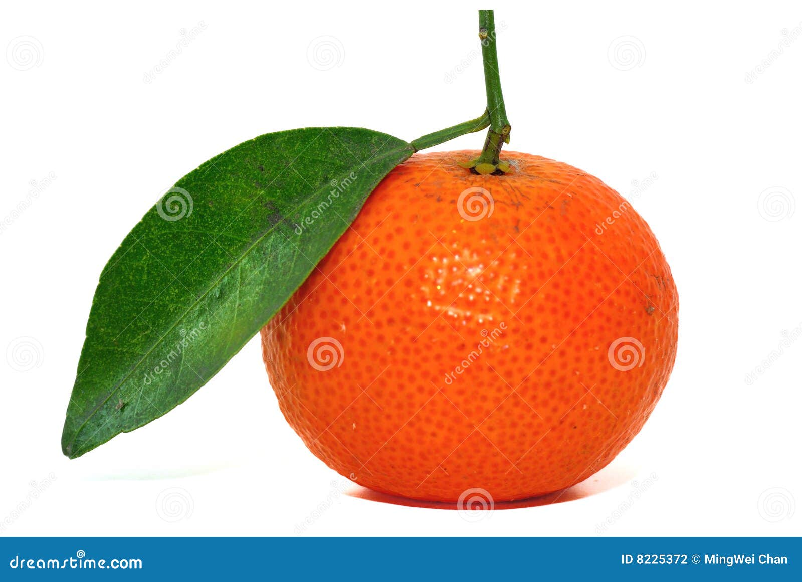 Chinese Orange stock photo. Image of brown, health, diet - 8225372