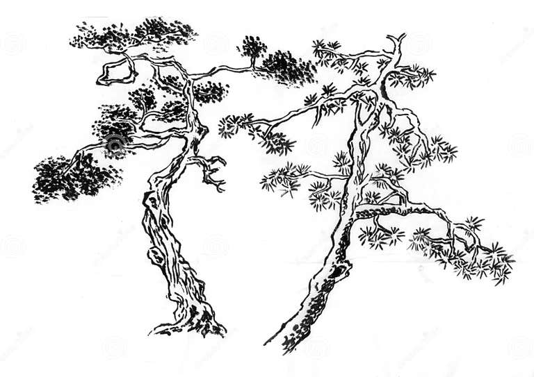 Chinese Paint Some Kind of Pine Tree Stock Illustration - Illustration ...