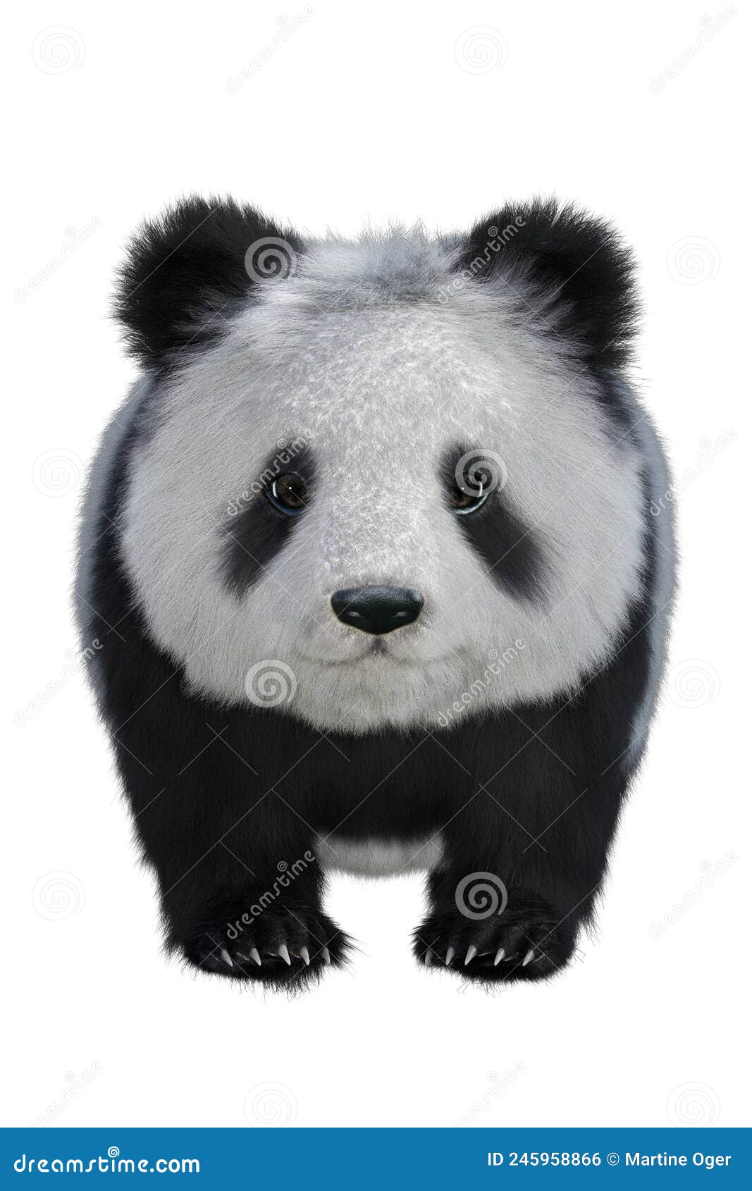 Chinese Panda Isolated on White Backgroud Stock Photo - Image of animal ...