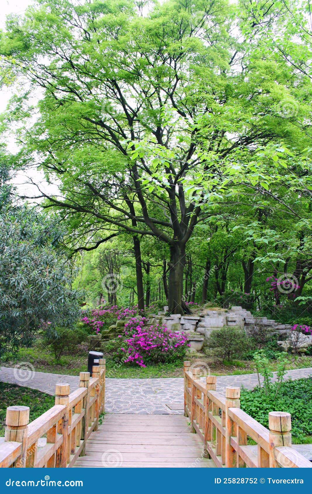 Chinese Park. Stock Photo | CartoonDealer.com #25828752