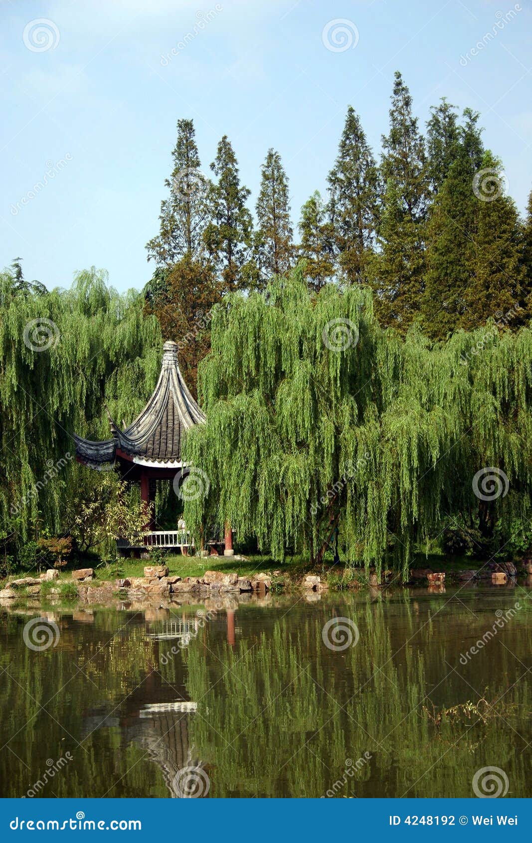 Chinese park stock photo. Image of green, willow, asia - 4248192