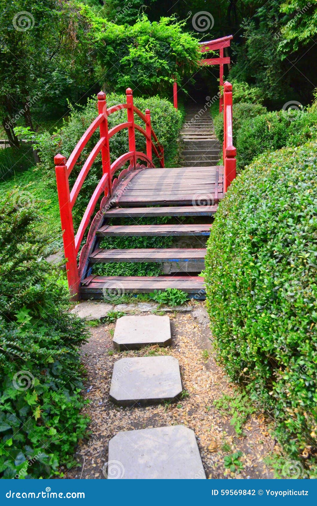 Chinese park bridge stock photo. Image of fence, natural - 59569842