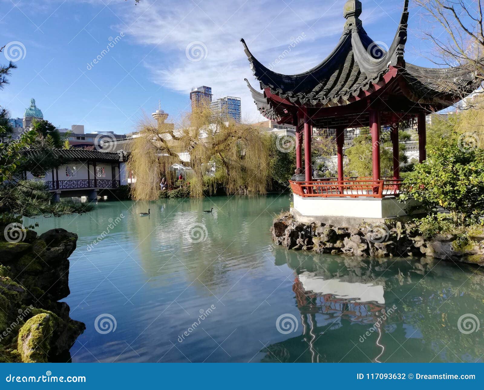 Chinese Park stock photo. Image of spring, vancouver - 117093632