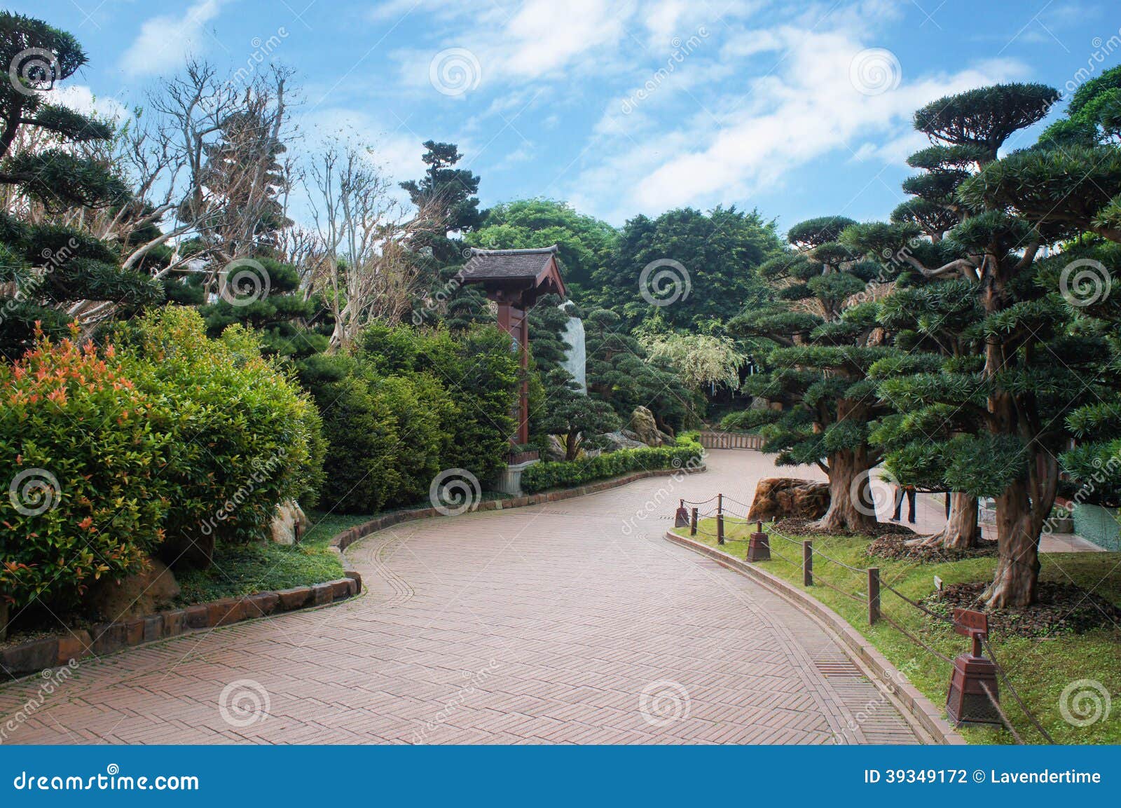 Chinese park stock photo. Image of park, hong, bonsai - 39349172