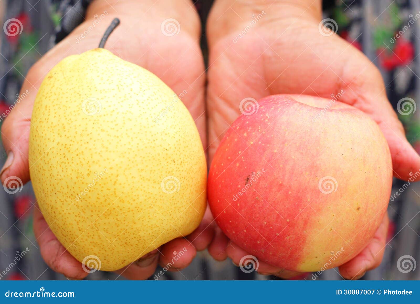 Chinese pear and apple stock image. Image of bright, ripe - 30887007