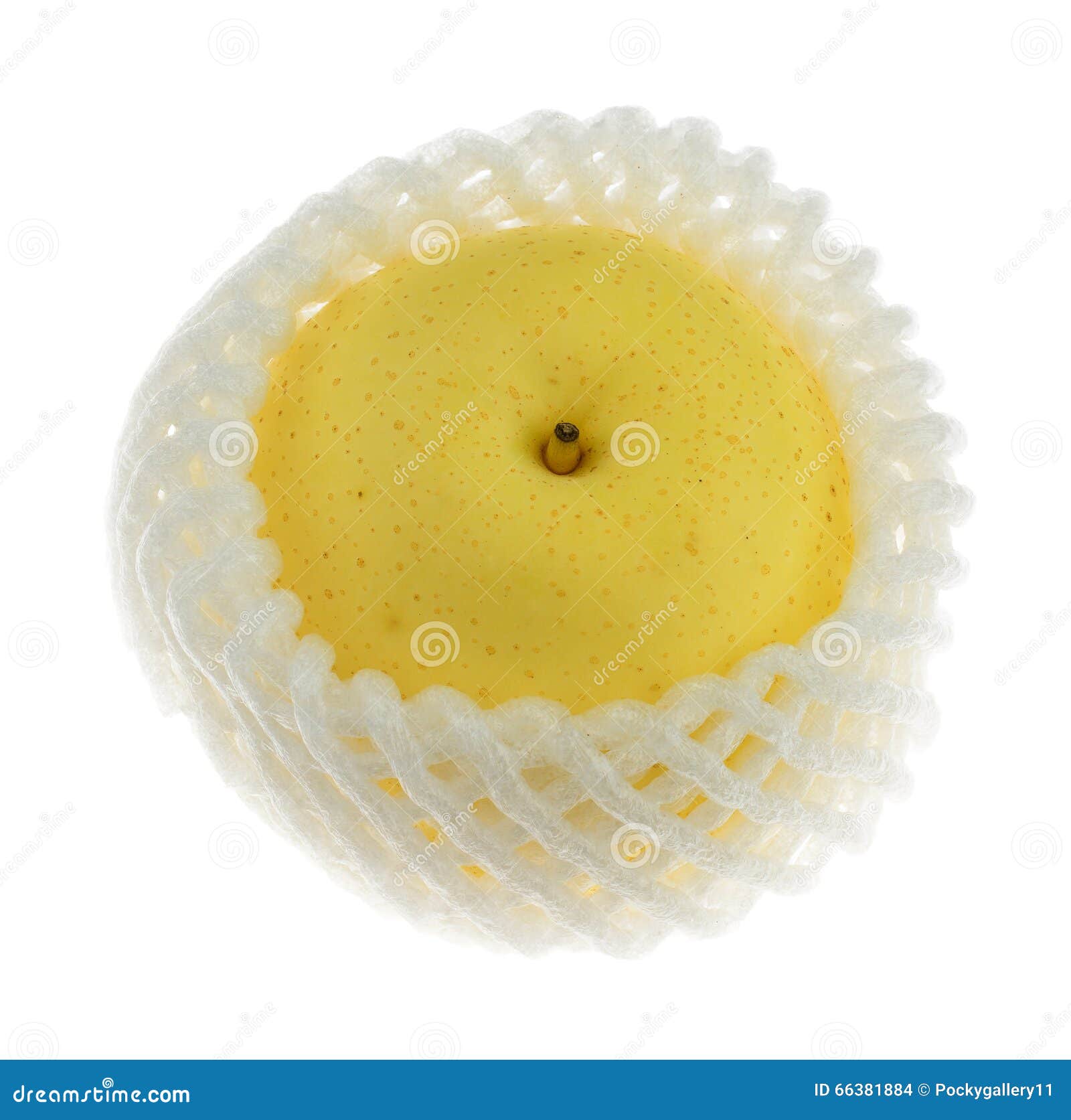 Chinese Pear With Foam Protection Net On Isolated White Stock Photo ...