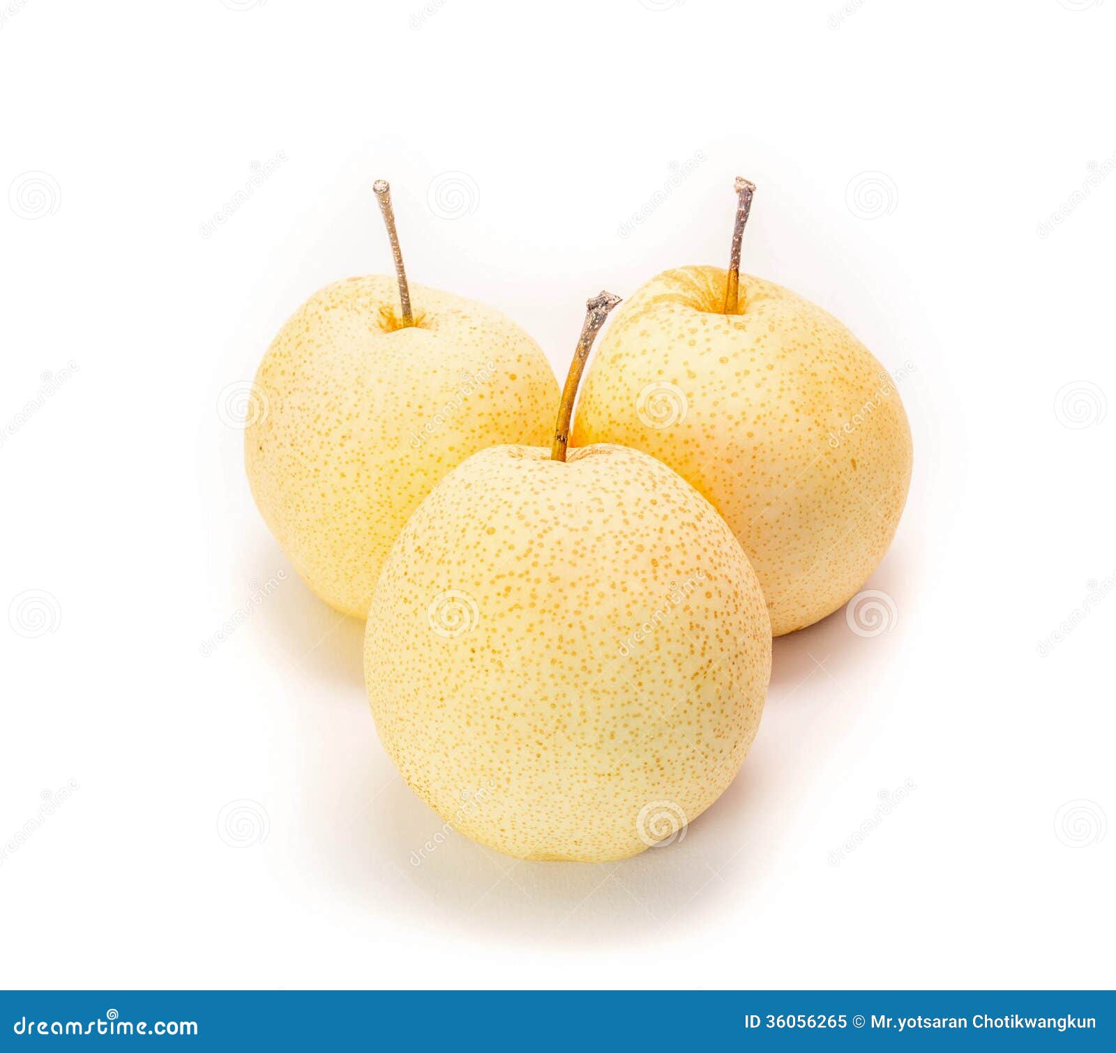Chinese pear stock image. Image of nashi, diet, chinese - 36056265