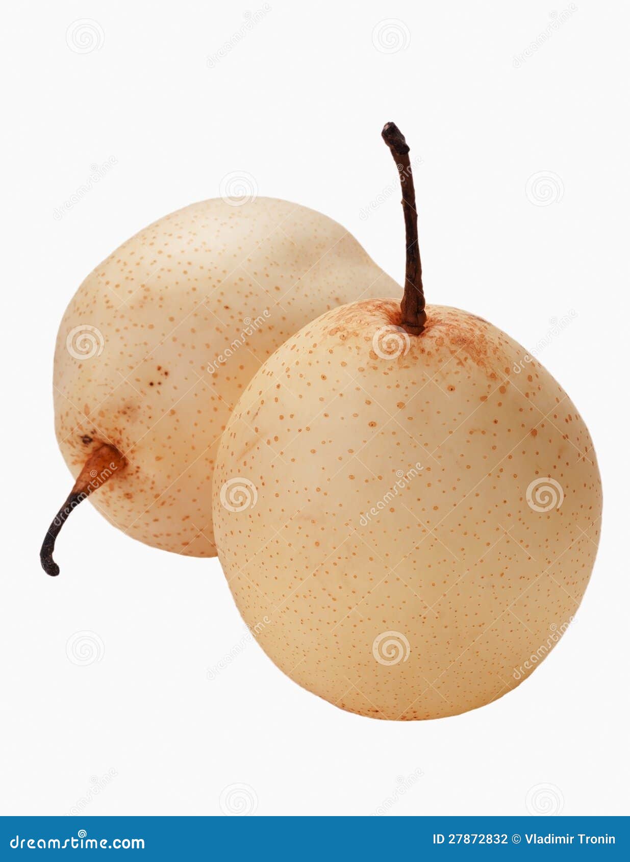 Chinese pear isolated stock photo. Image of fruit, asian - 27872832