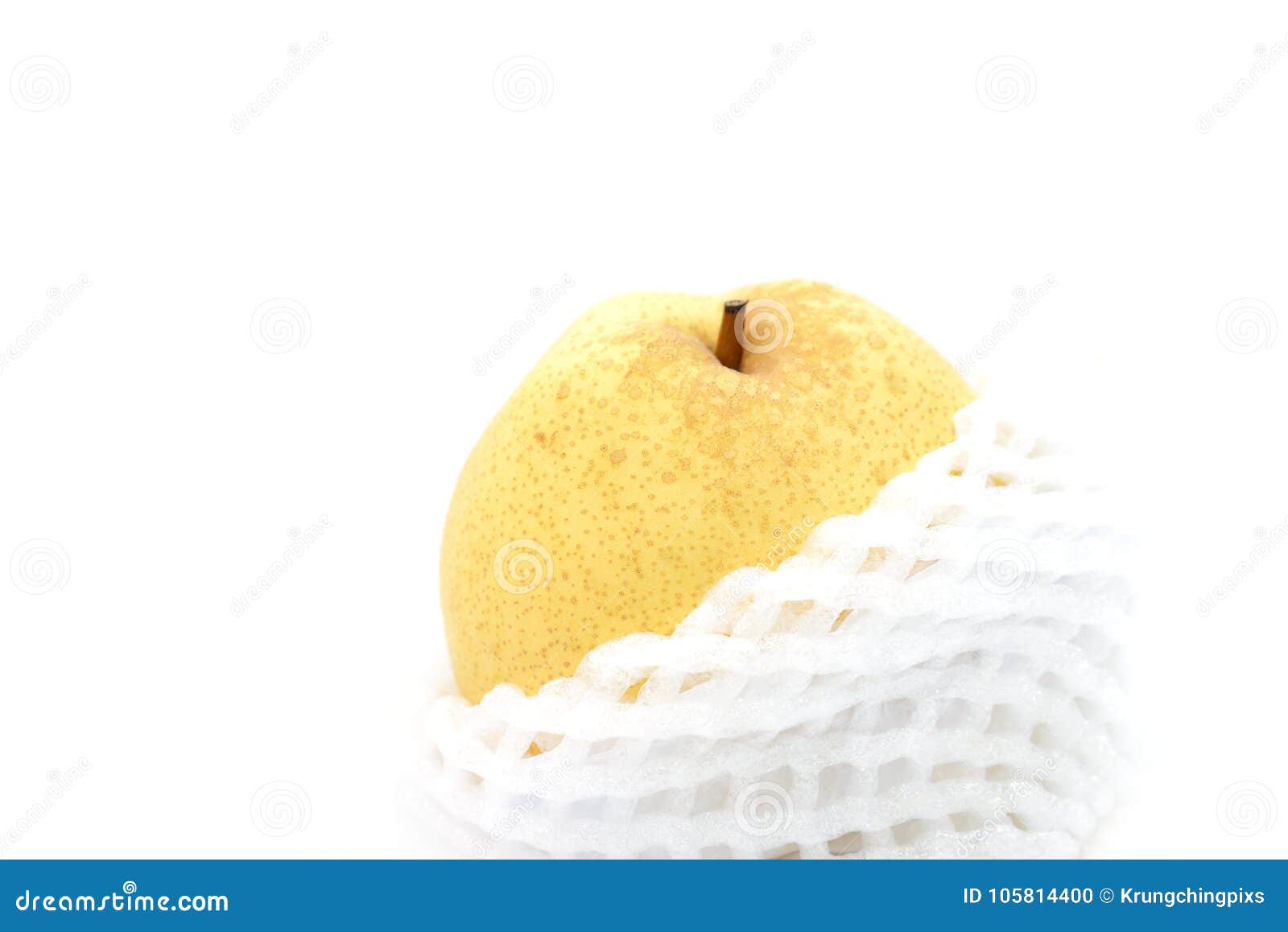 Chinese Pear with White Foam Protection Net. Stock Photo - Image of ...