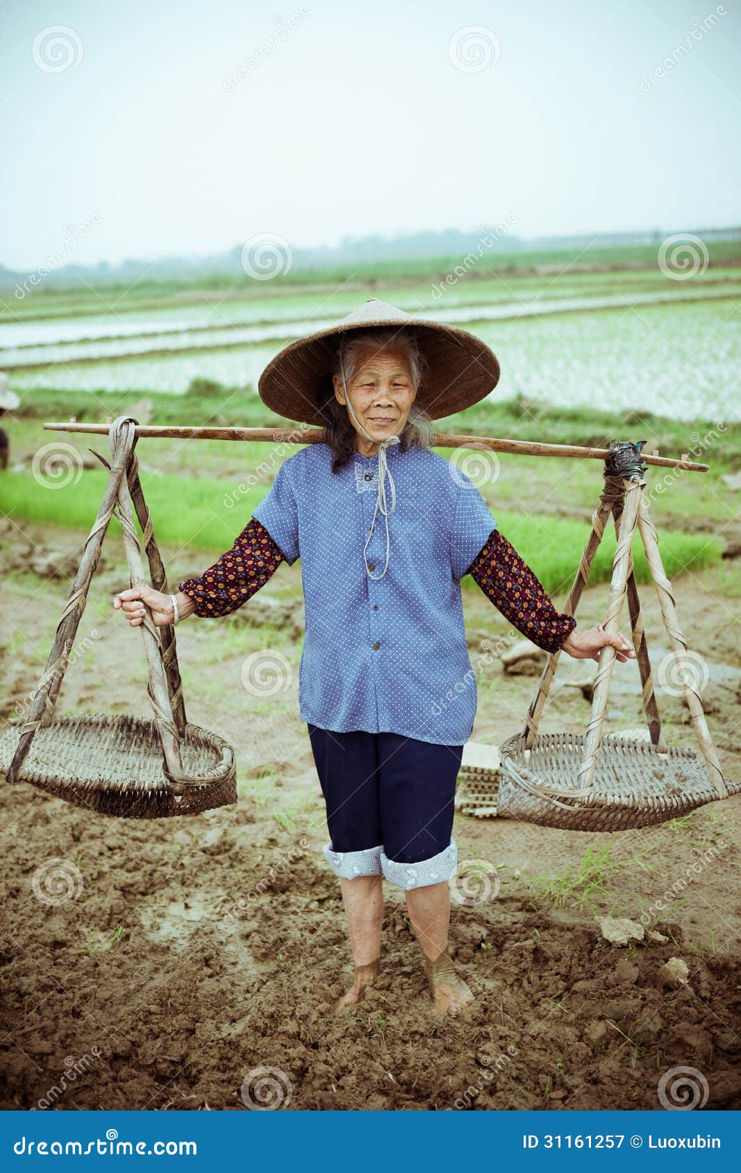 Chinese peasant stock image. Image of field, closeup - 31161257