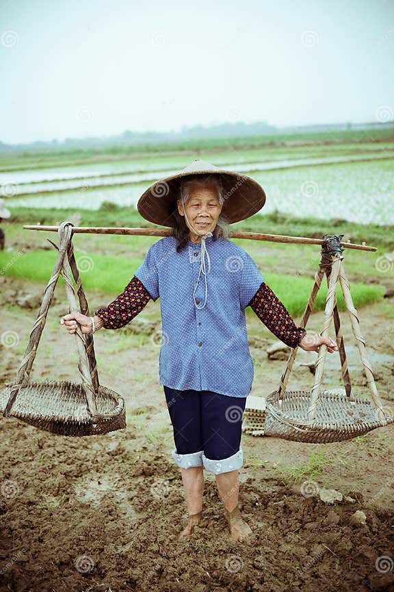 Chinese peasant stock image. Image of field, closeup - 31161257