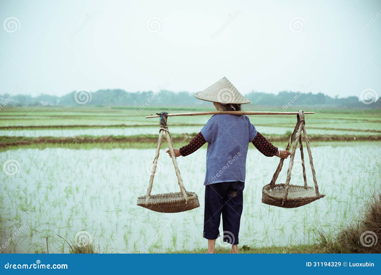 Chinese peasant stock image. Image of field, working - 31194329