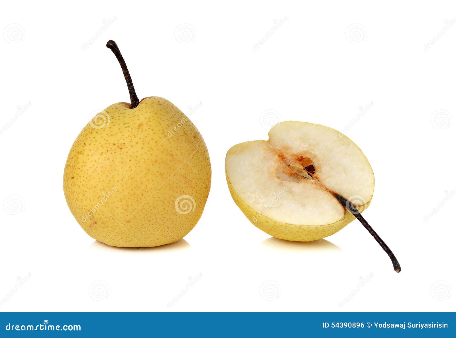 Chinese Peer of Nashi-peer Met Stam Op Wit Stock Foto - Image of vers ...