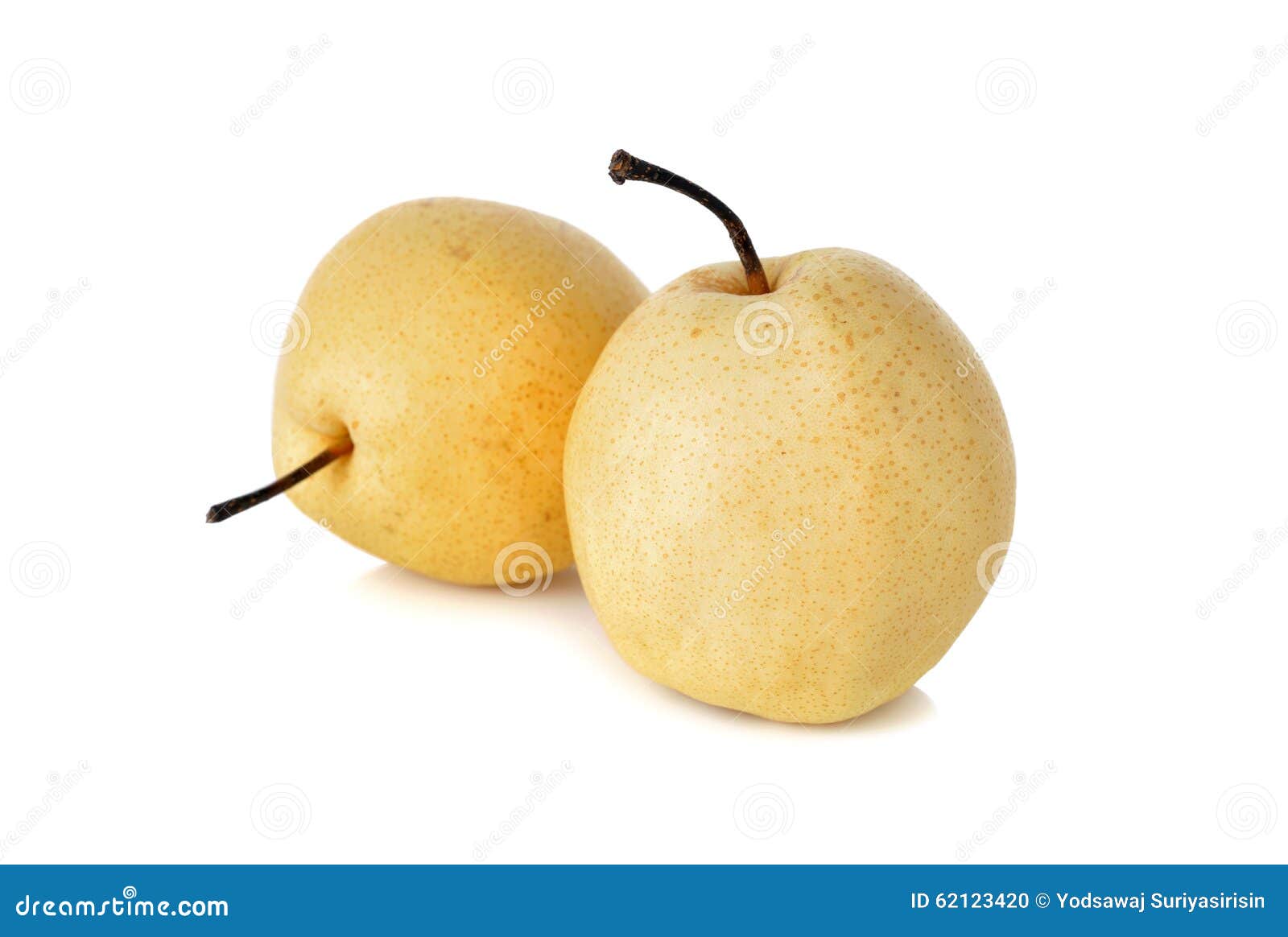 Chinese Peer of Nashi-peer Met Stam Op Wit Stock Foto - Image of japans ...