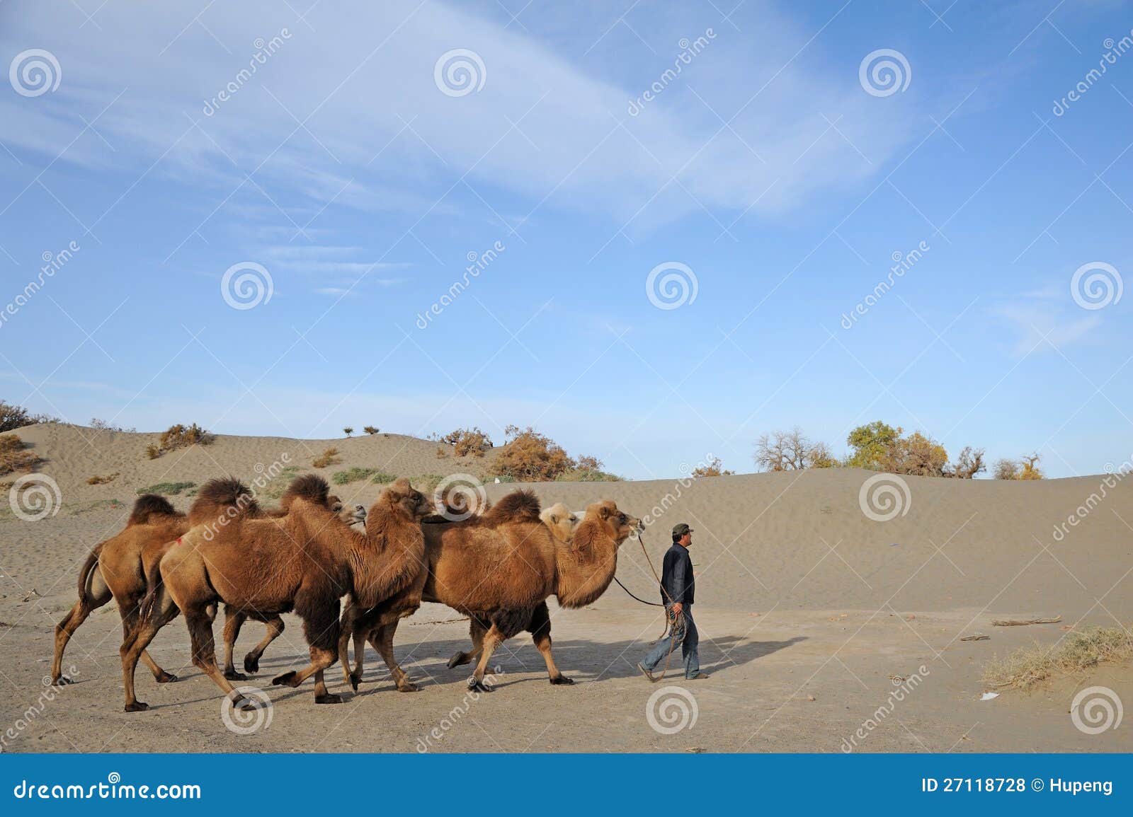 Chinese People Are Praying In The Lama Temple. Travel In Beijing ...