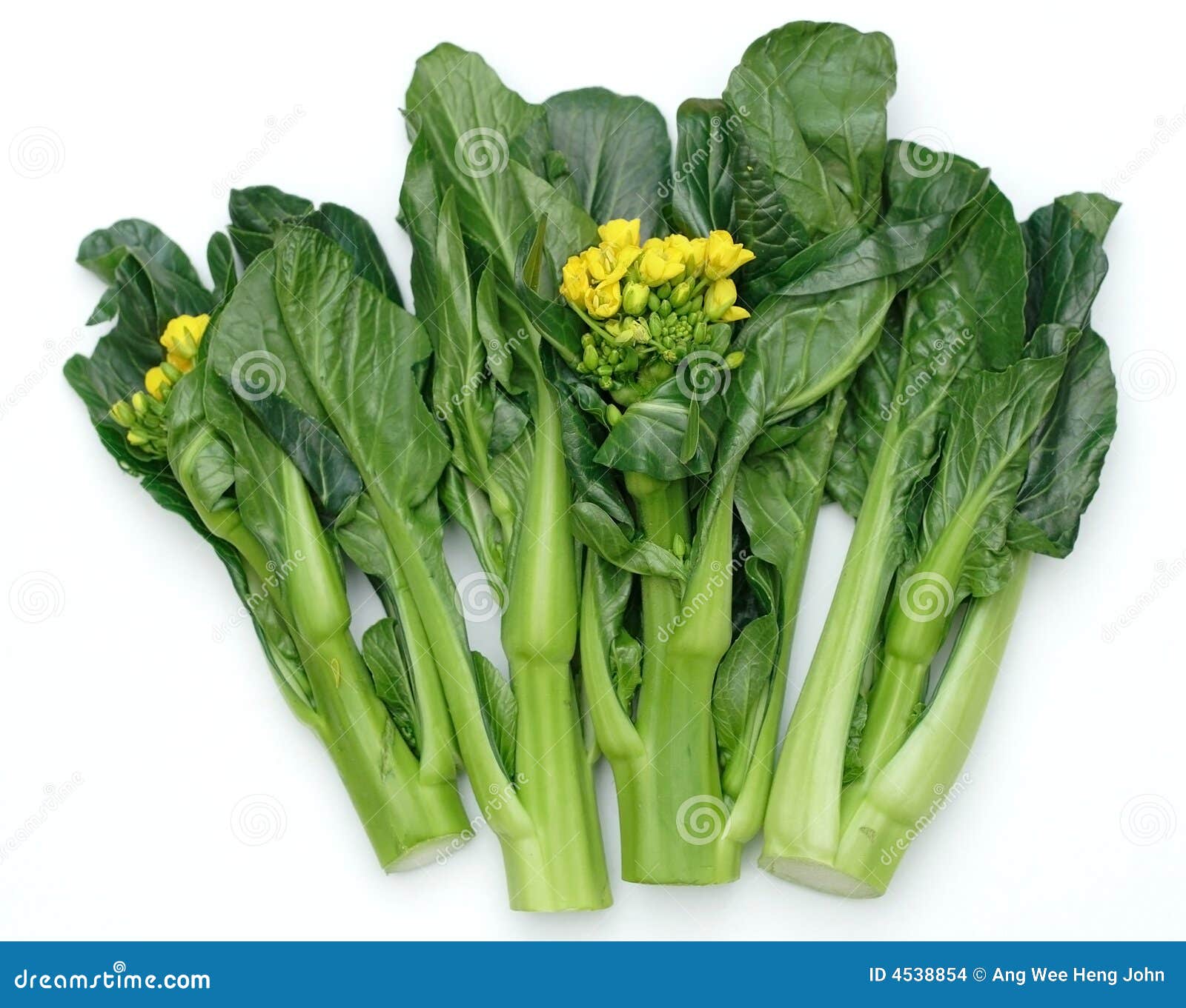 Chinese Plantaardig-chye-groente Sim Stock Foto - Image of eetbaar ...