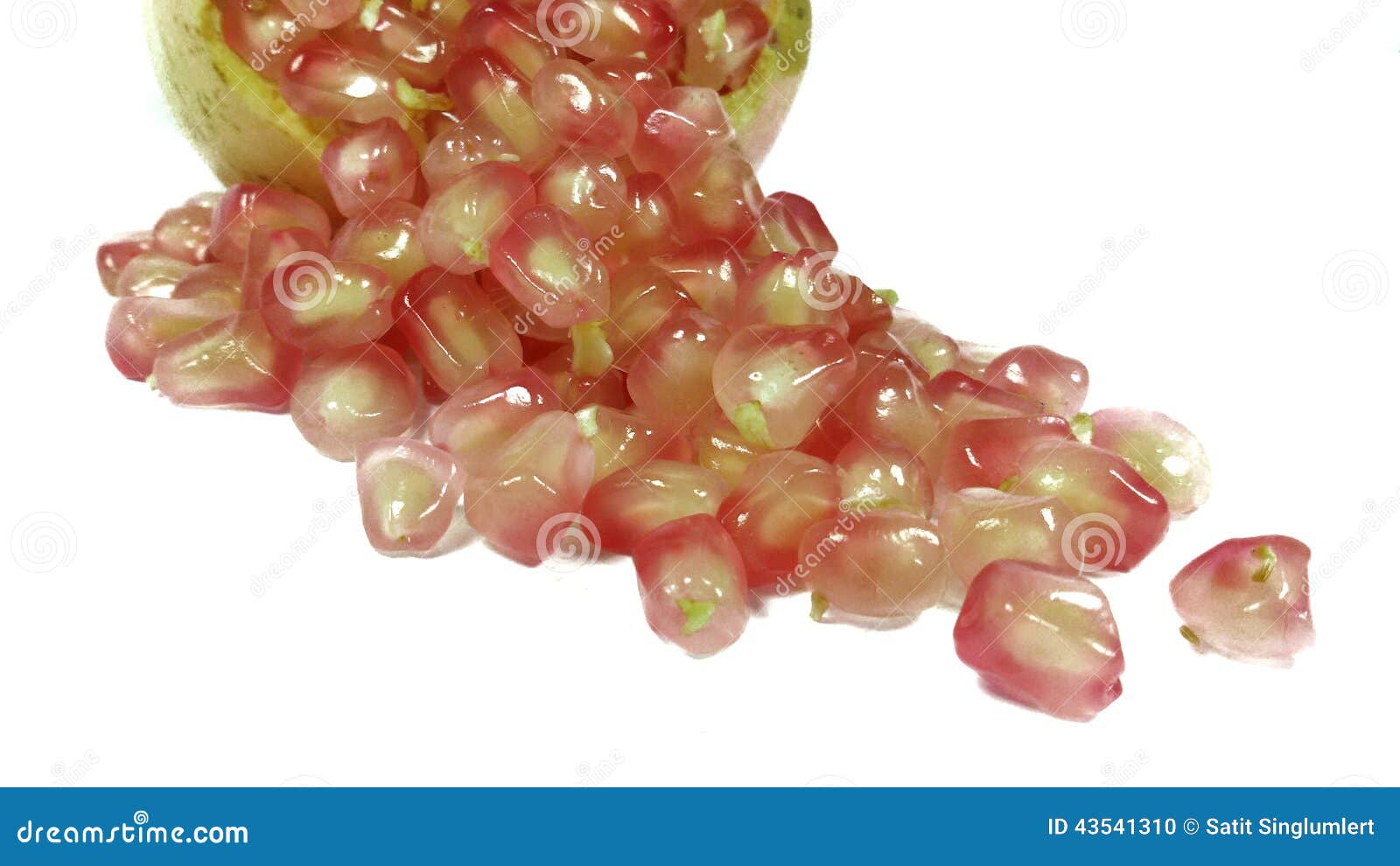 Chinese pomegranate stock photo. Image of flow, dark - 43541310