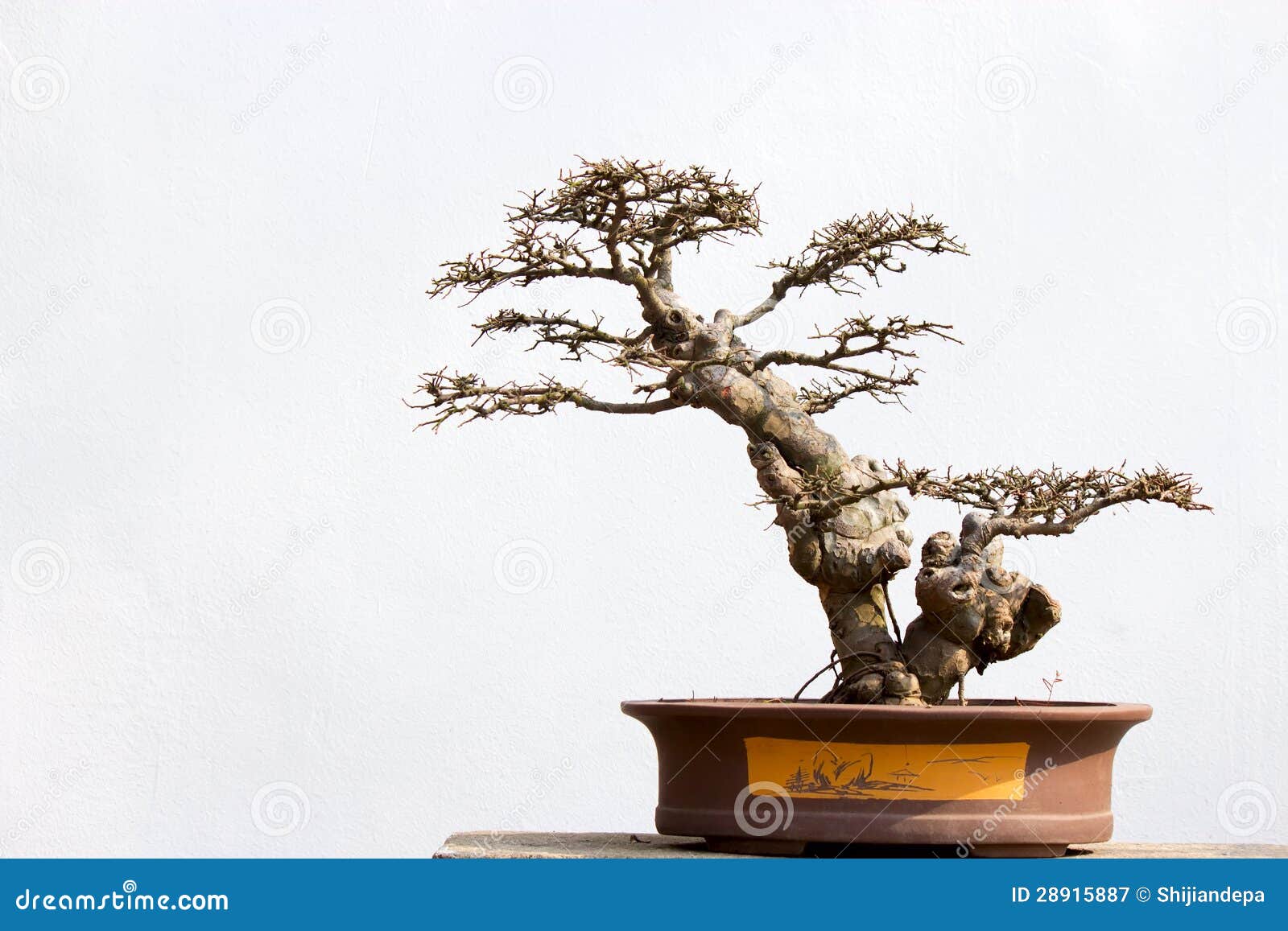 Chinese potted landscape stock image. Image of botany - 28915887