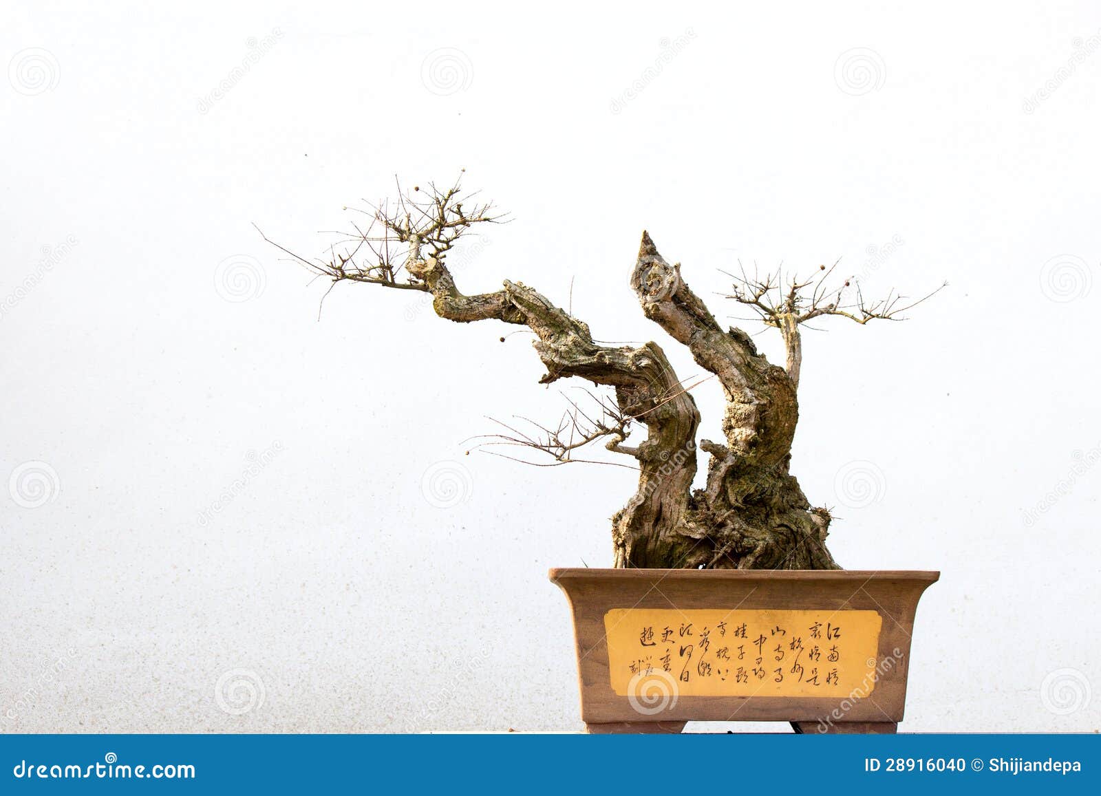 Chinese potted landscape stock photo. Image of penjing - 28916040