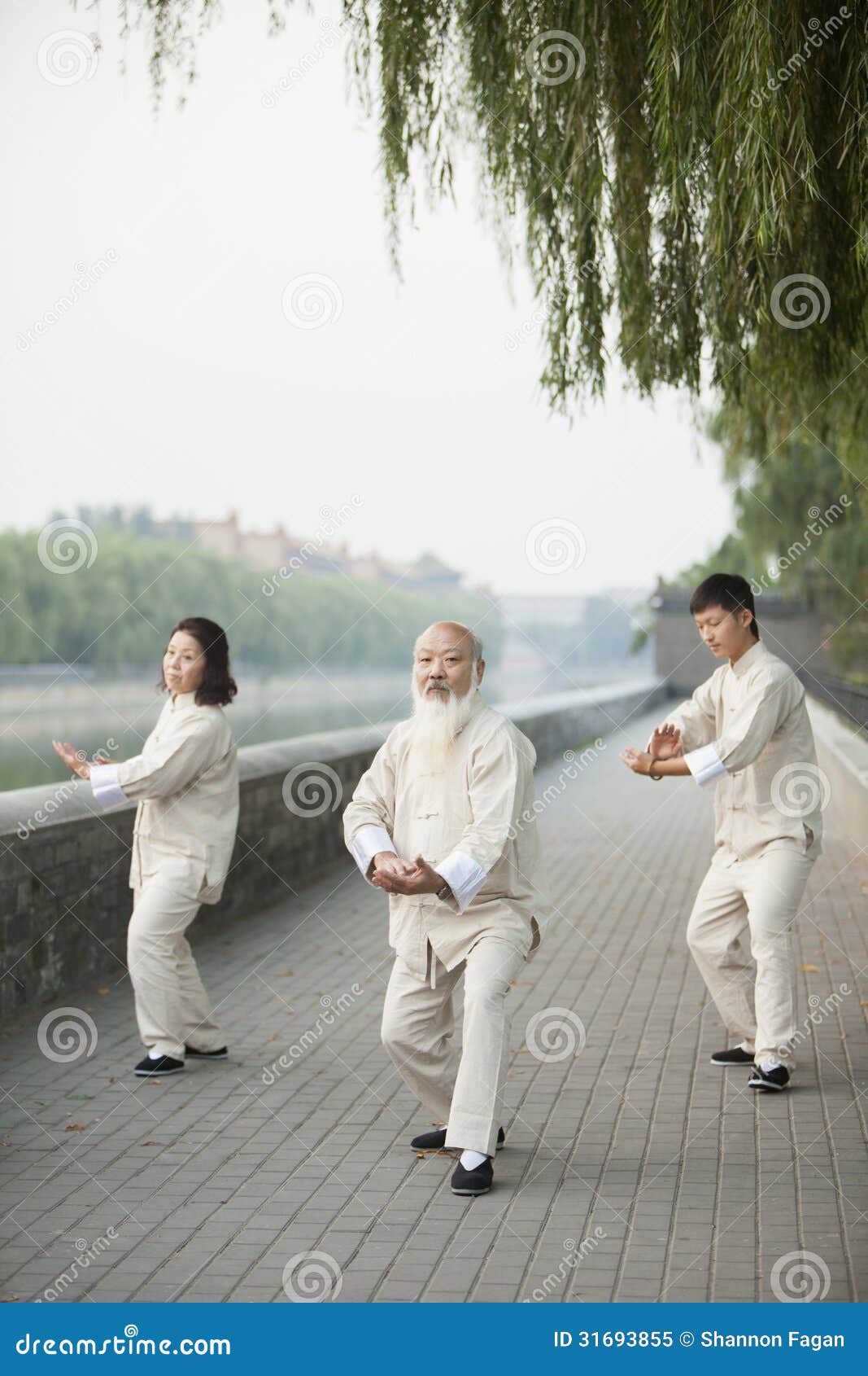 Chinese Practicing Tai Ji stock image. Image of harmony - 31693855
