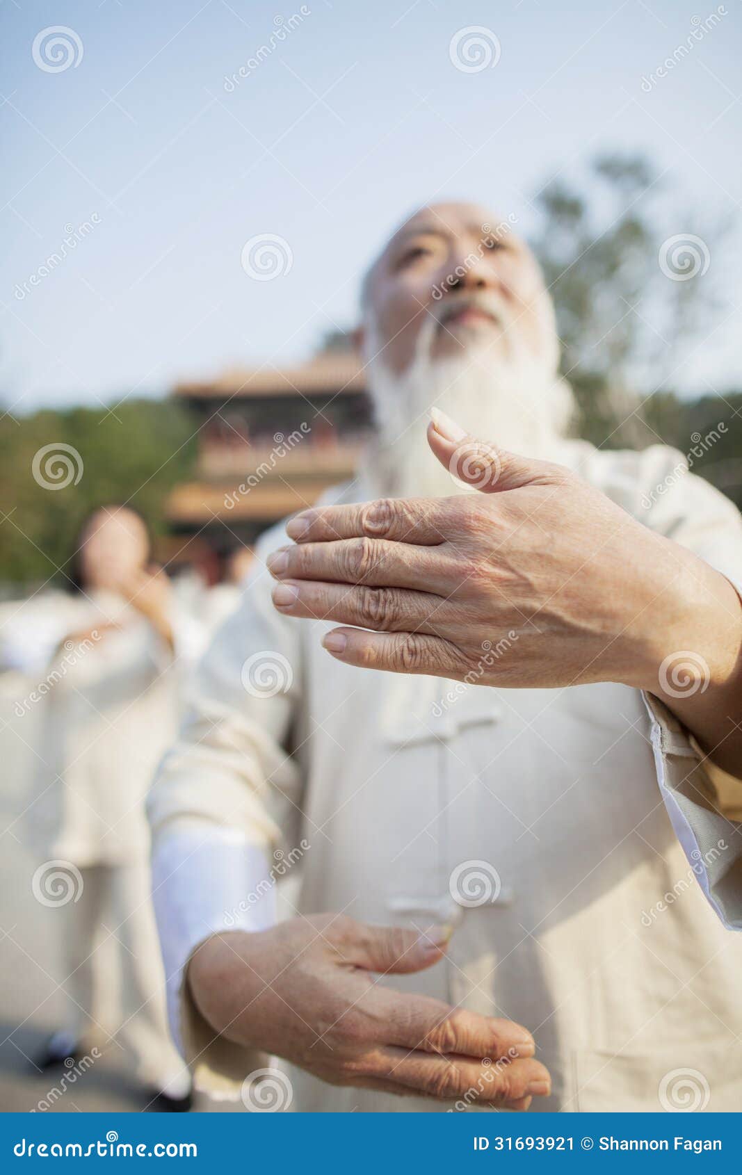 Chinese Practicing Tai Ji stock image. Image of green - 31693921