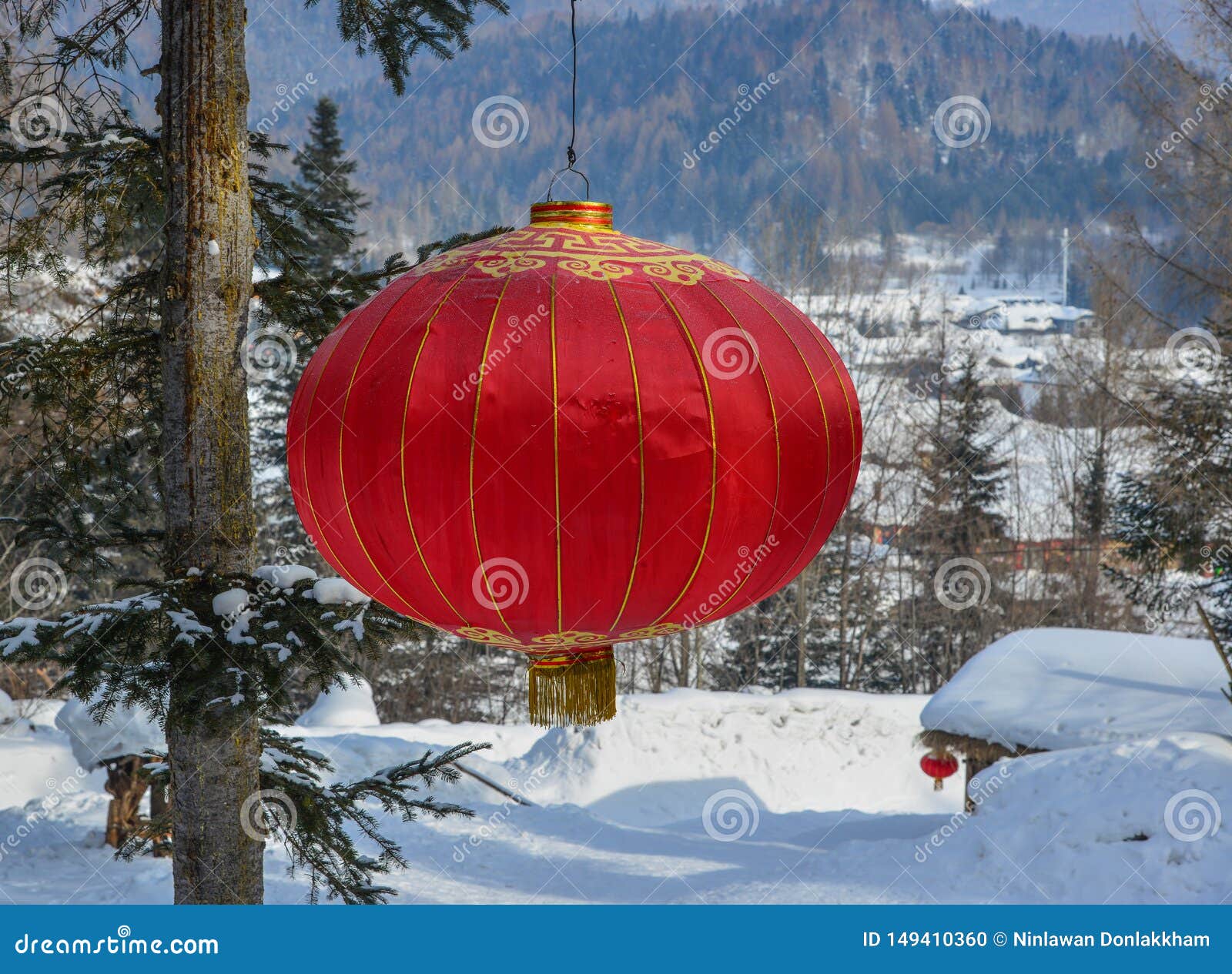 Chinese Red Lantern in Pine Tree Forest Stock Photo - Image of color ...