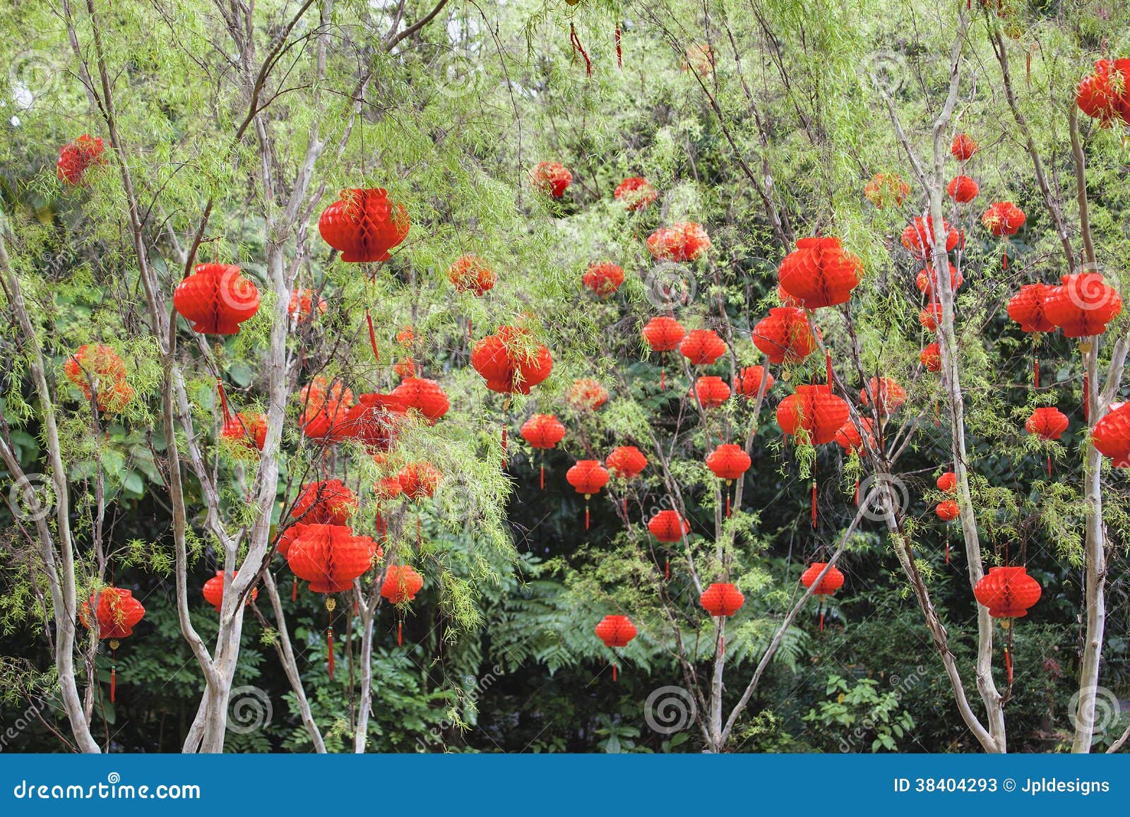 Chinese Red Lanterns Hanging on Trees Stock Image - Image of backyard ...