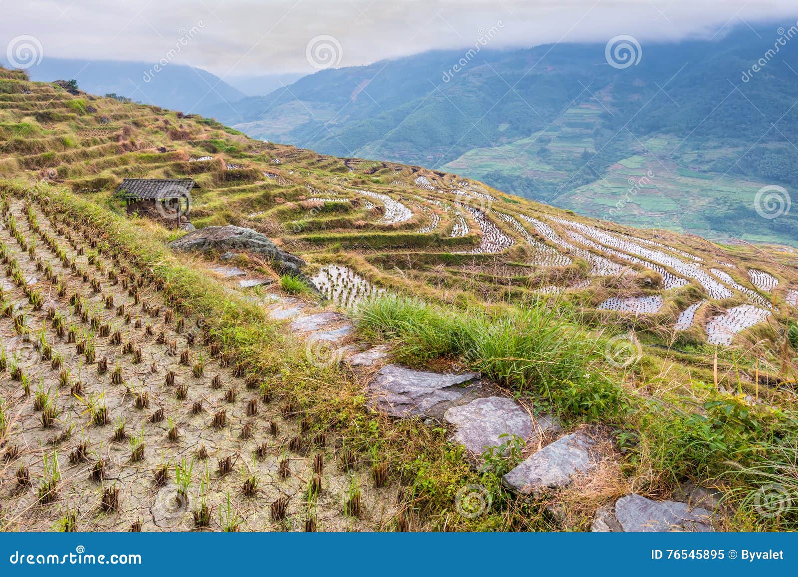 Chinese rice fields stock image. Image of longji, agriculturist - 76545895