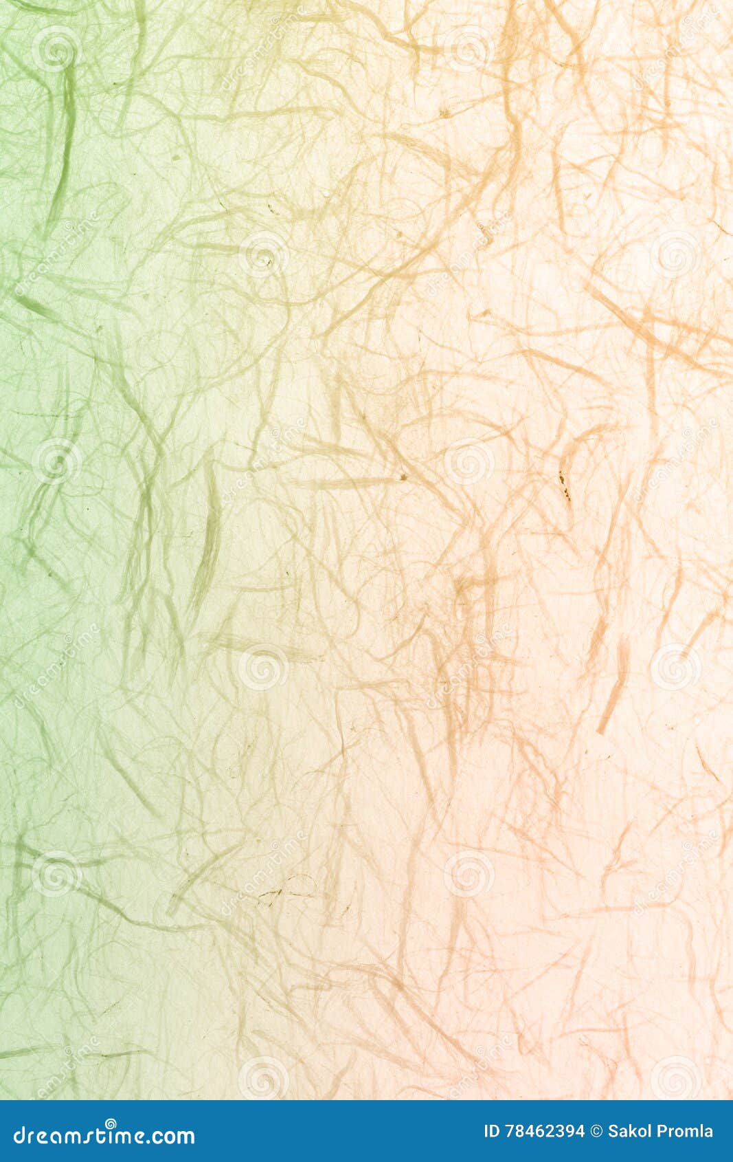 Chinese rice paper stock photo. Image of traditional - 78462394