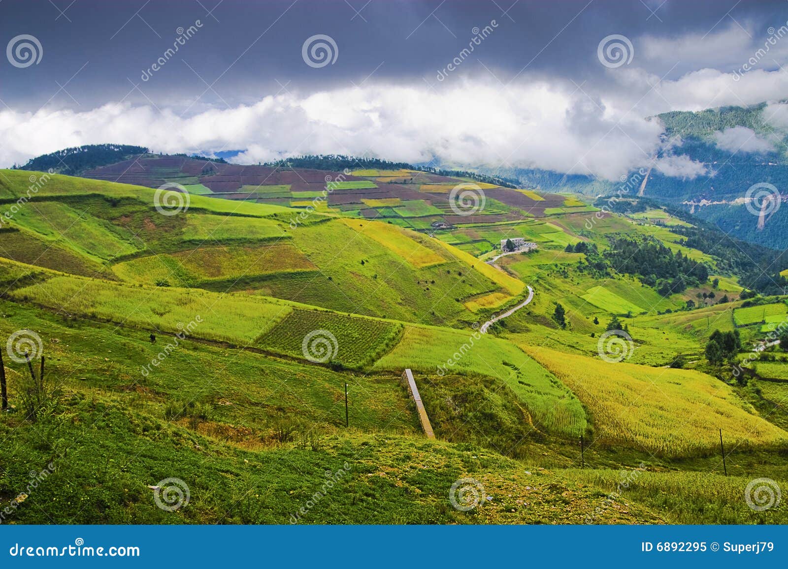 Chinese rural scenery stock image. Image of orange, crops - 6892295